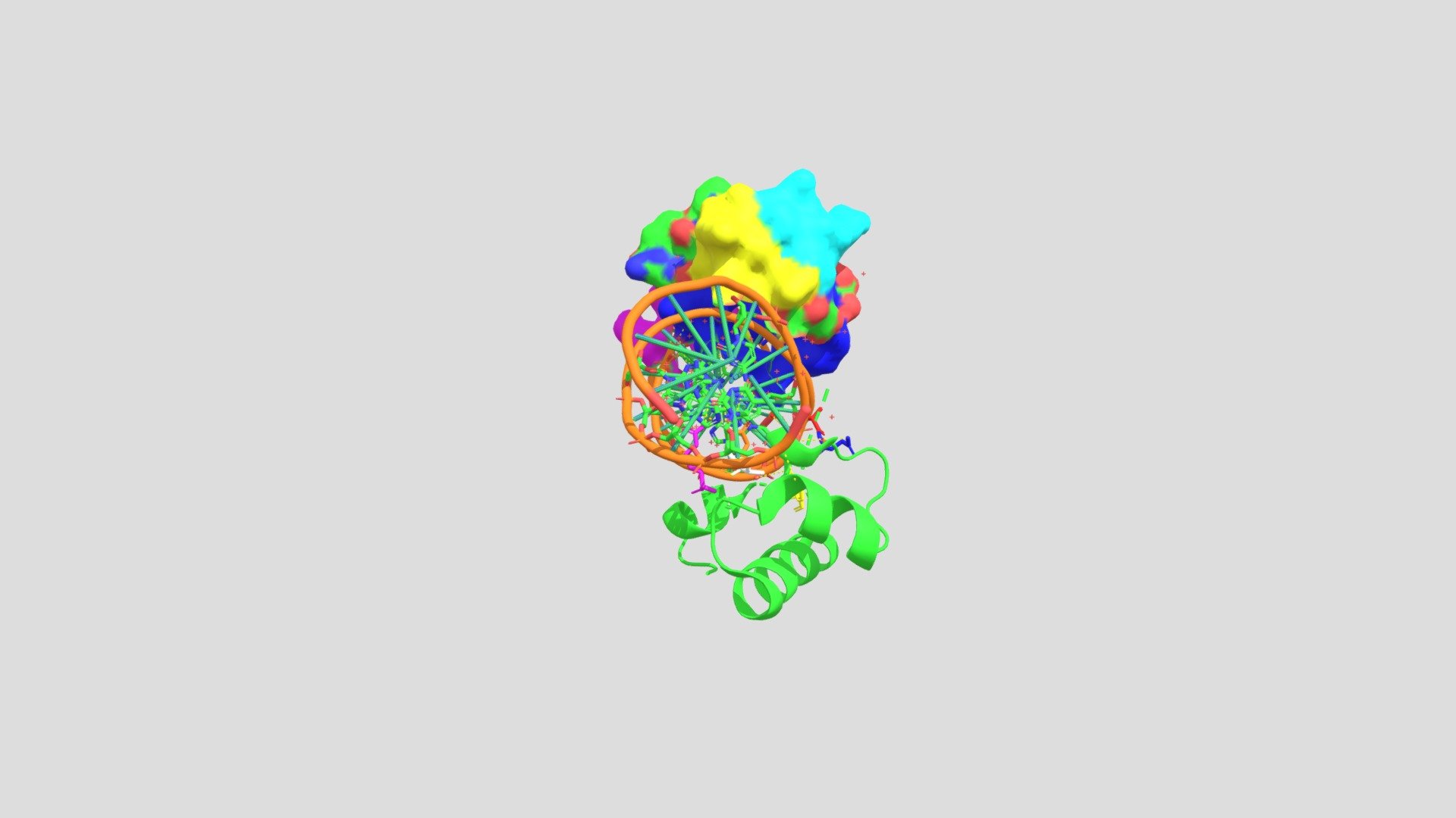 Telomeric repeat-binding factor 2 (TRF2) Protein - 3D model by JaiGN ...