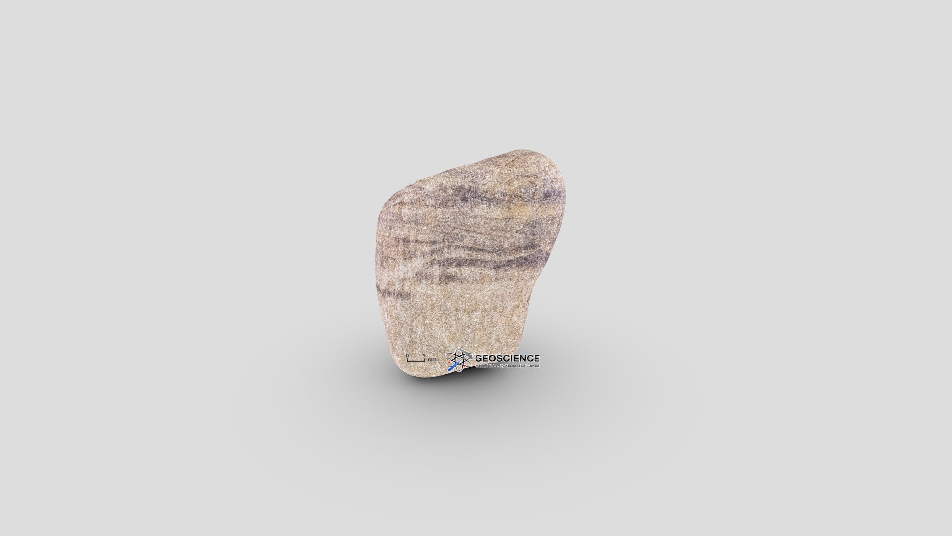 Skolithos - Download Free 3D model by Kantanat [3f8dee1] - Sketchfab