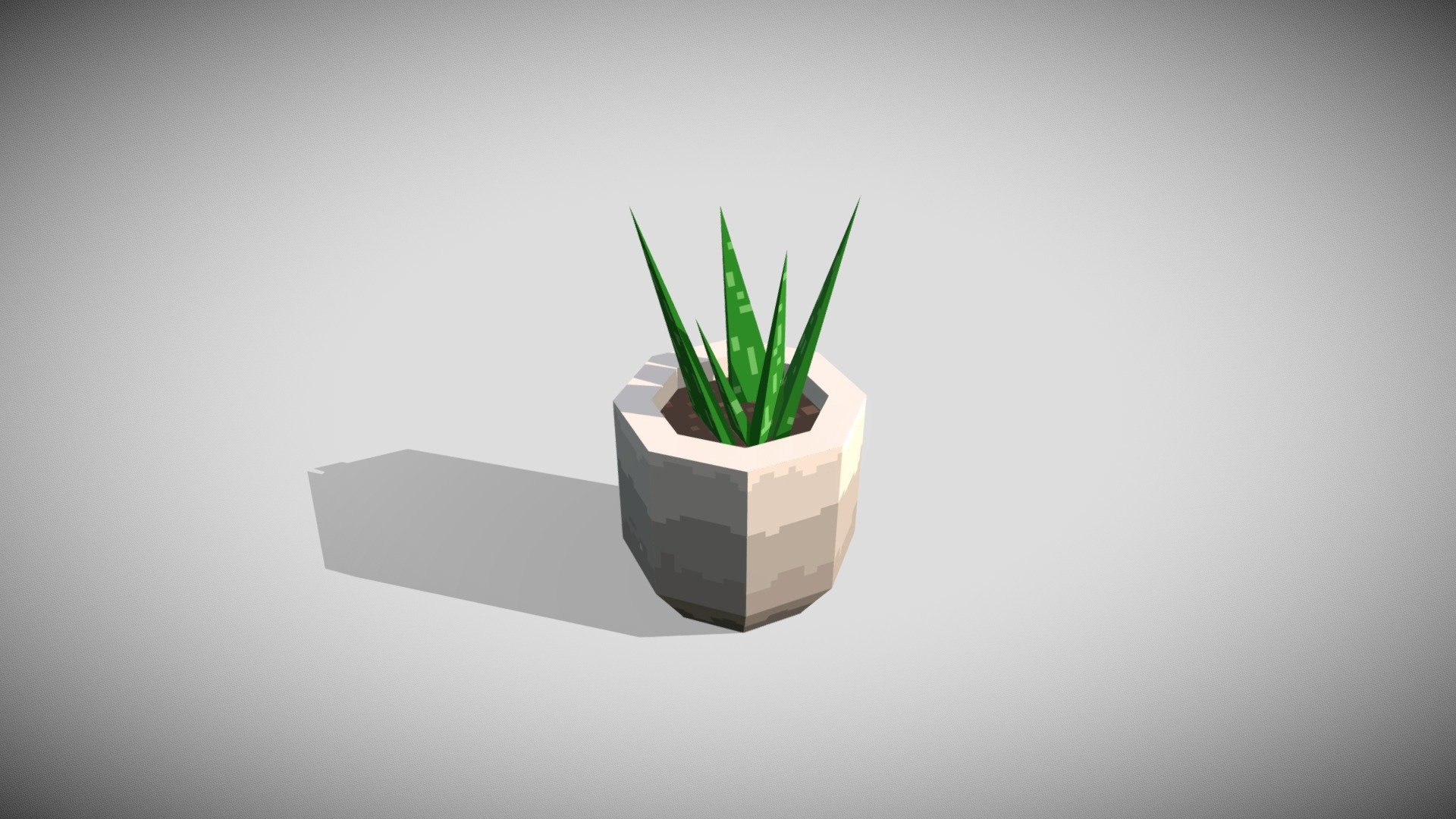 Succulent ☺ - 3D model by maximumxp999 [3f90824] - Sketchfab