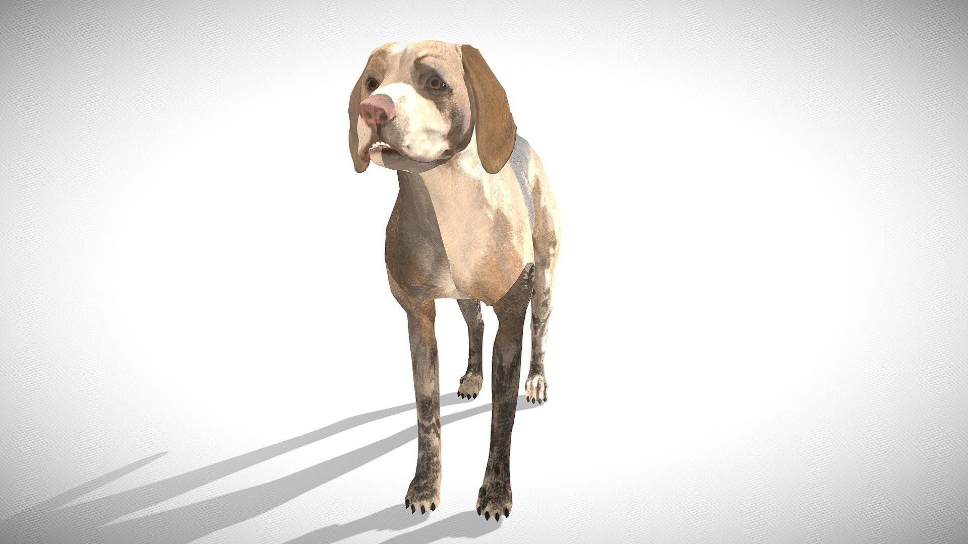 Dog - 3D model by MC874 [3f919e1] - Sketchfab