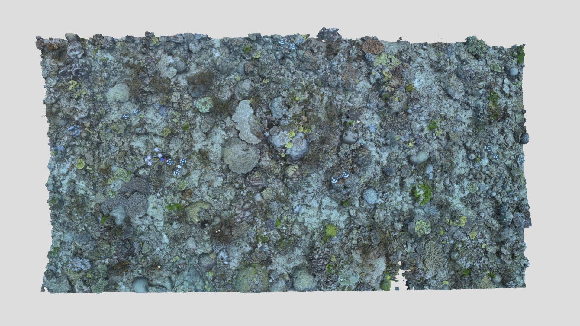 Heron_FR1S_P4_202105 - Download Free 3D model by EcoRRAP (@AIMSEcoRRAP ...