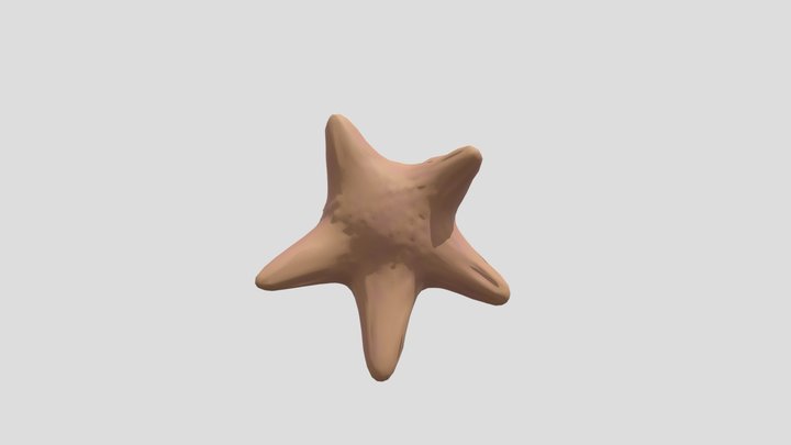 Starfish 3D models - Sketchfab