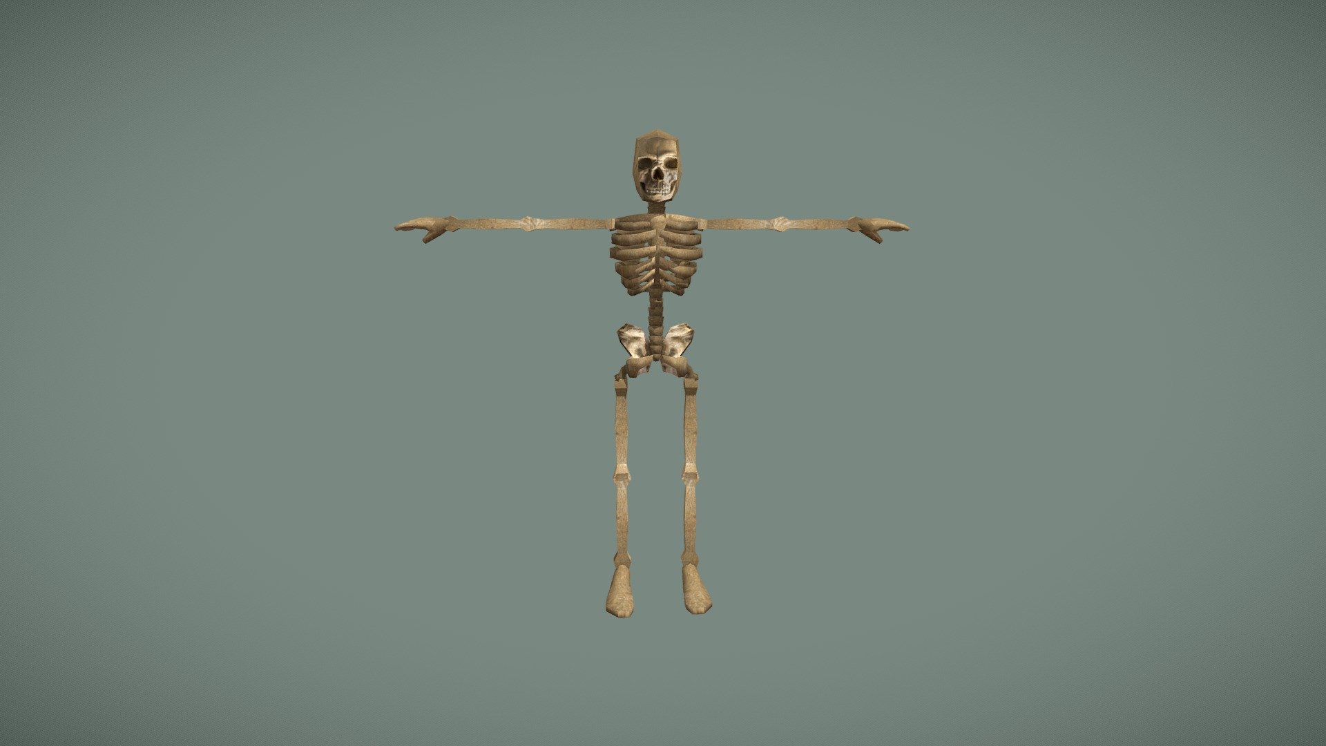 Skeleton - 3D model by Kaspian.Seppanen [3fd3f46] - Sketchfab