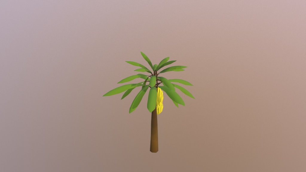 Banana Tree - 3D model by samcorbridge [3fd7a6e] - Sketchfab