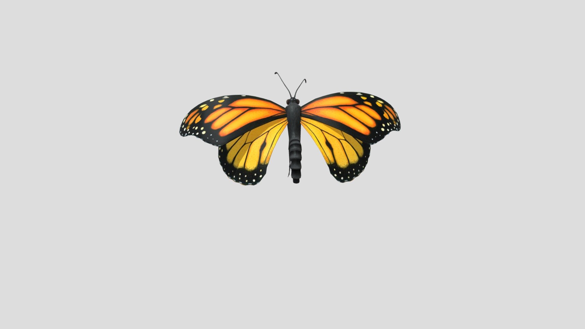 Fluttering Butterfly TEST - 3D model by jennwilsonpmp [3fd7f00] - Sketchfab