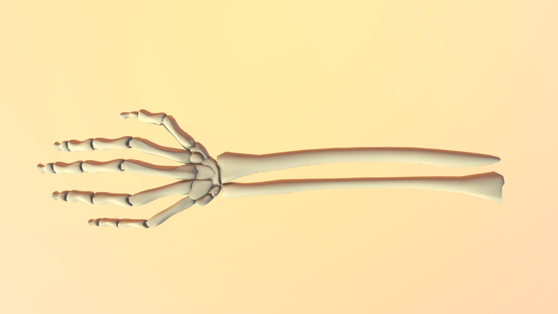 Prop skeleton hand - Download Free 3D model by 3DRaizar [3fdbb78 ...