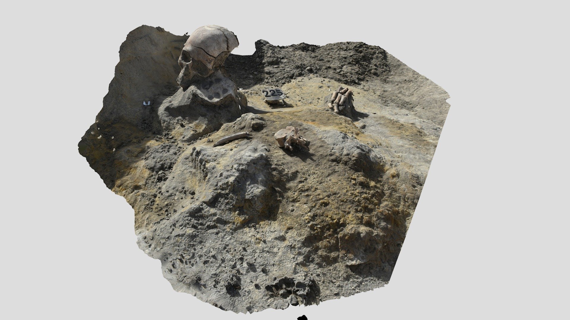 Szank 225. obj. - 3D model by kkjm [3fde445] - Sketchfab