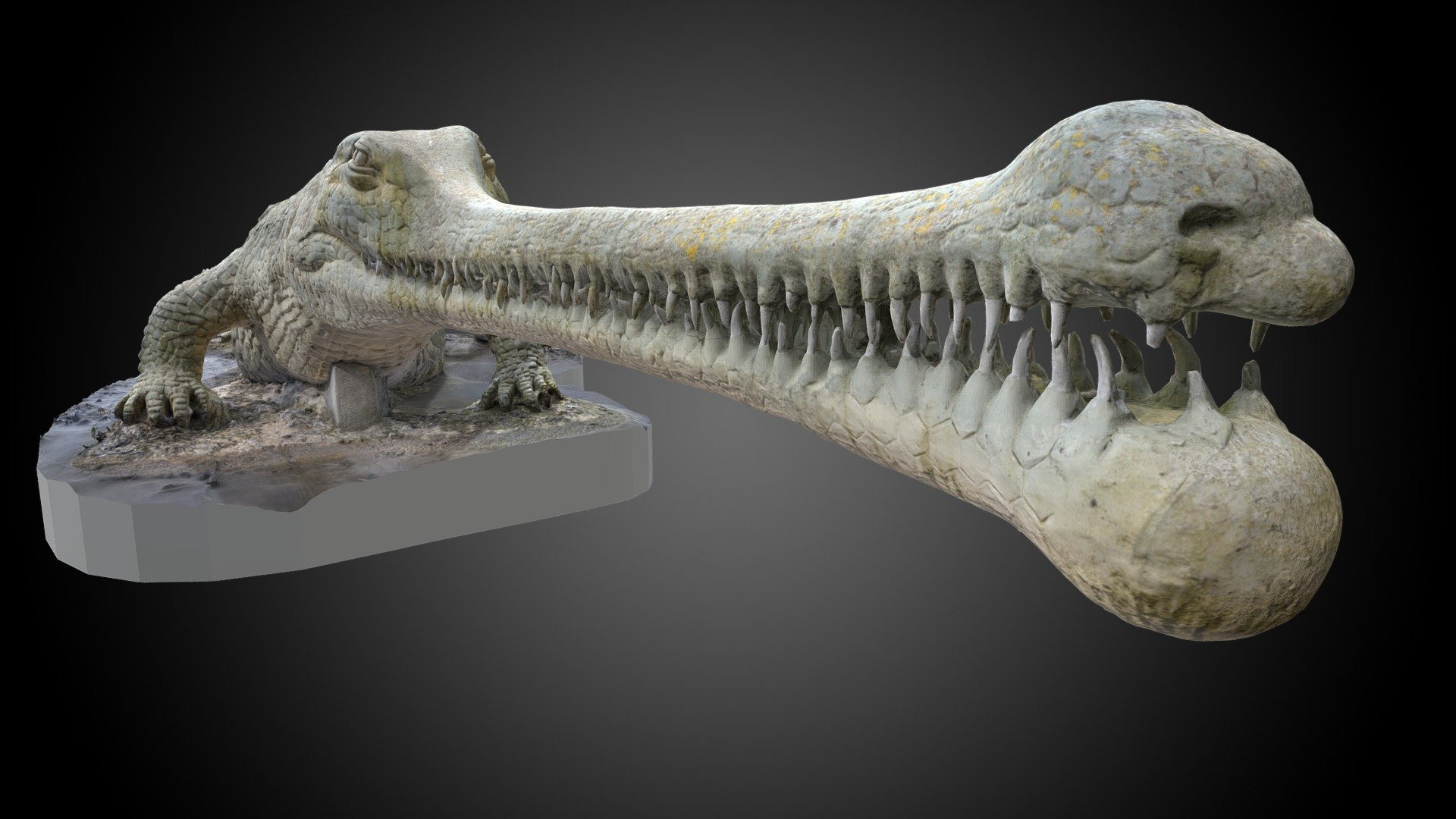 12 ‘Teleosaurus chapmani' (head horizontal) - 3D model by Historic ...