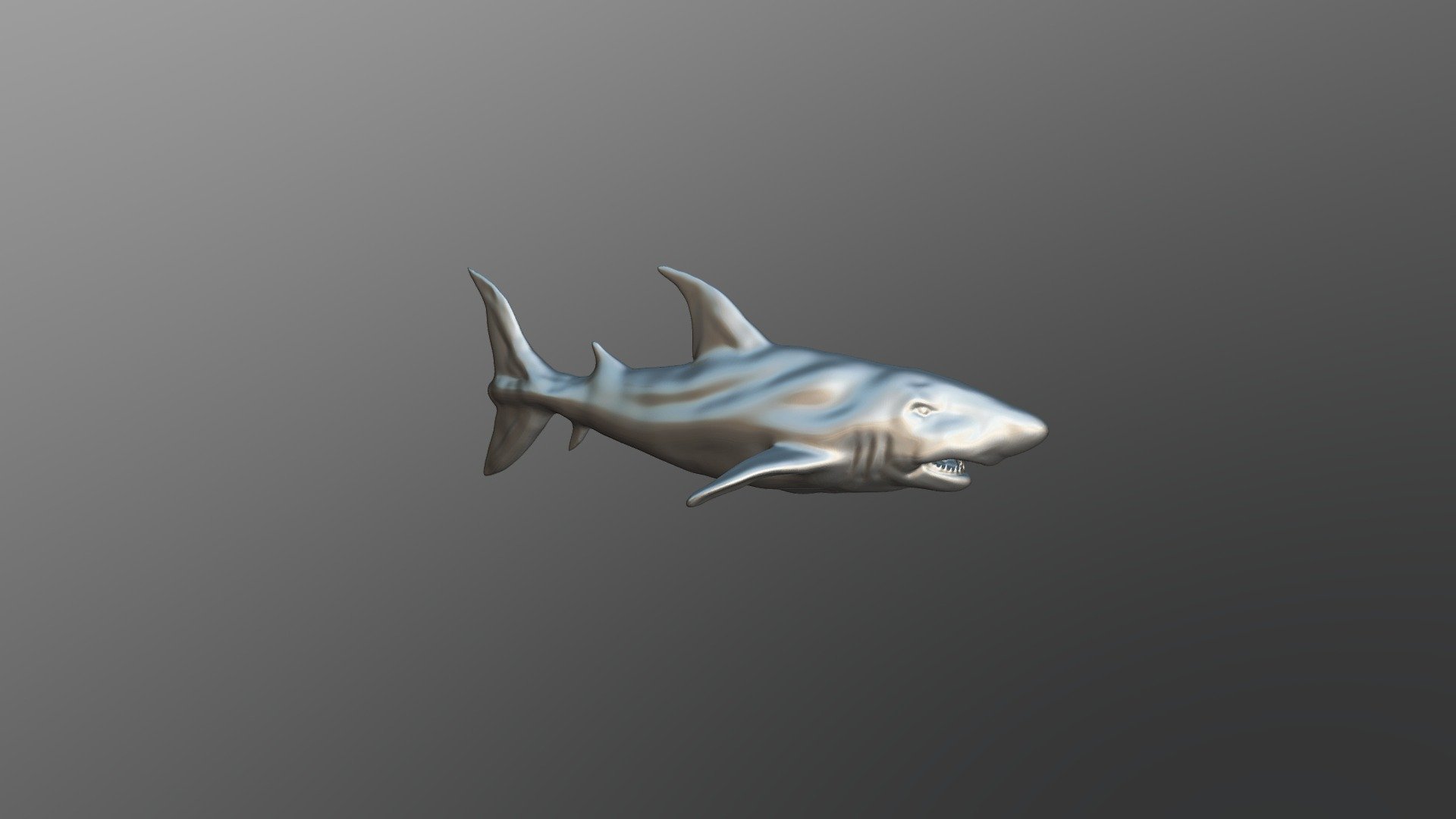 Shark - 3D model by Besfort [3fe751e] - Sketchfab