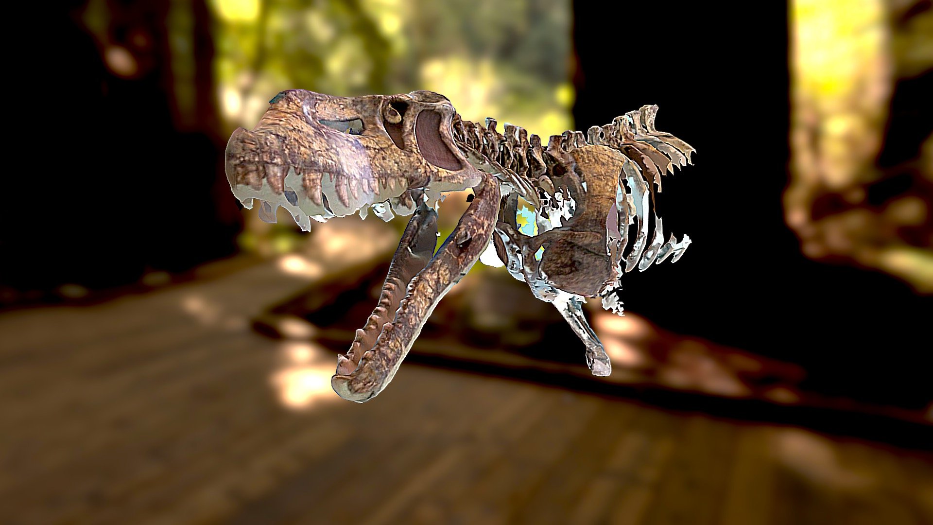 Fossil - 3D model by doufet [3fe946a] - Sketchfab