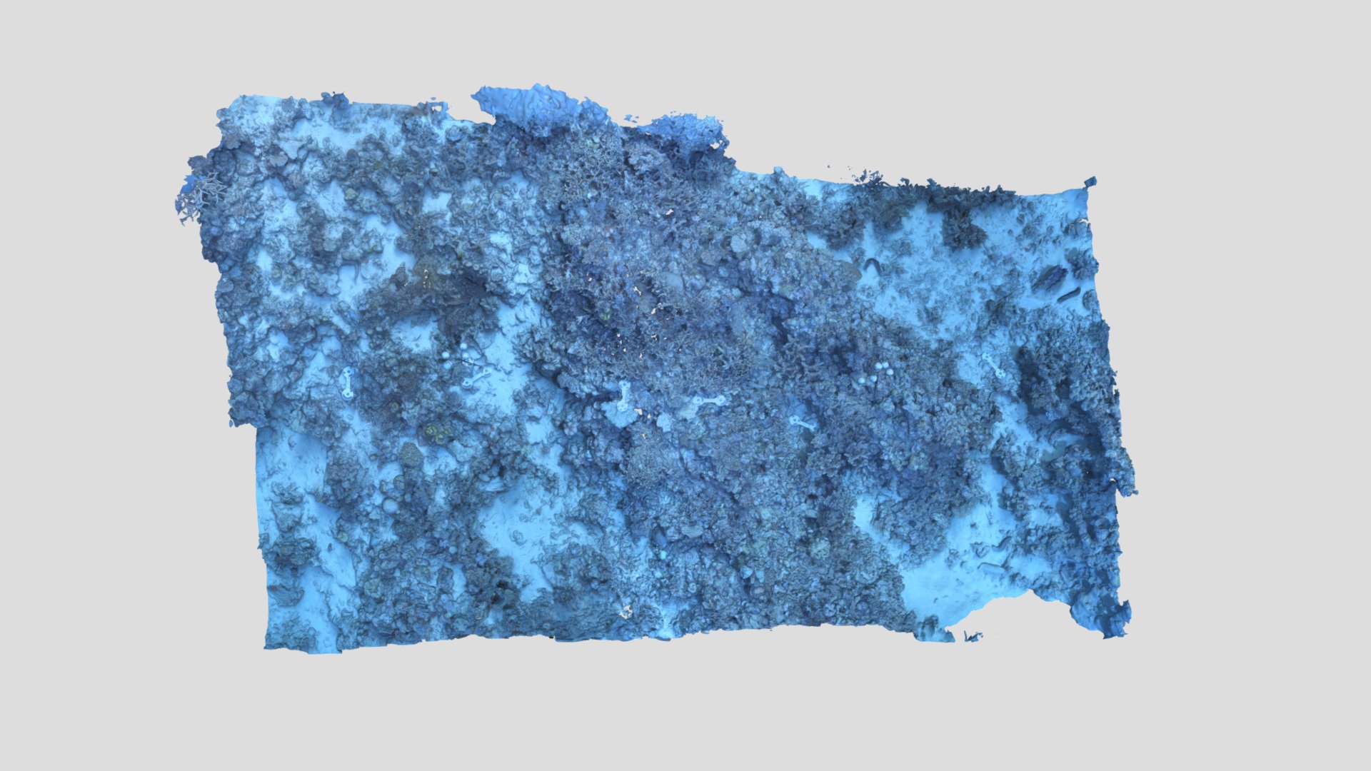 Davies_FL1D_P3_202101 - 3D model by EcoRRAP (@AIMSEcoRRAP) [3ff135b ...
