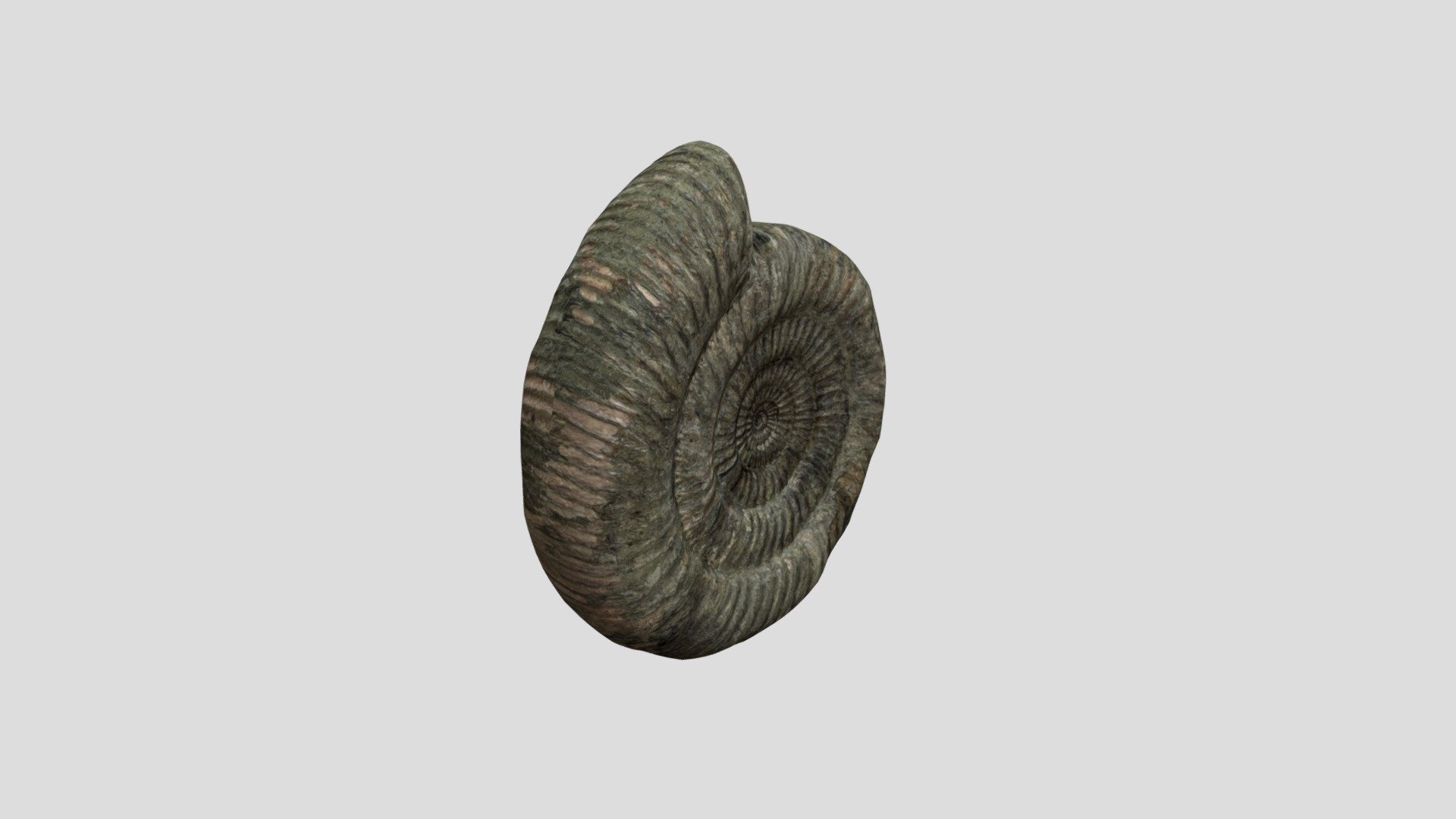 Stipo - Download Free 3D model by Hotenart (@freezpresent456) [3ff1ab8 ...