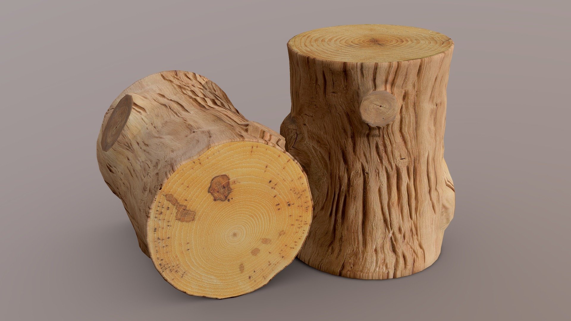 Tree Logs or Stumps - Buy Royalty Free 3D model by 3Dee (@mellydeeis ...