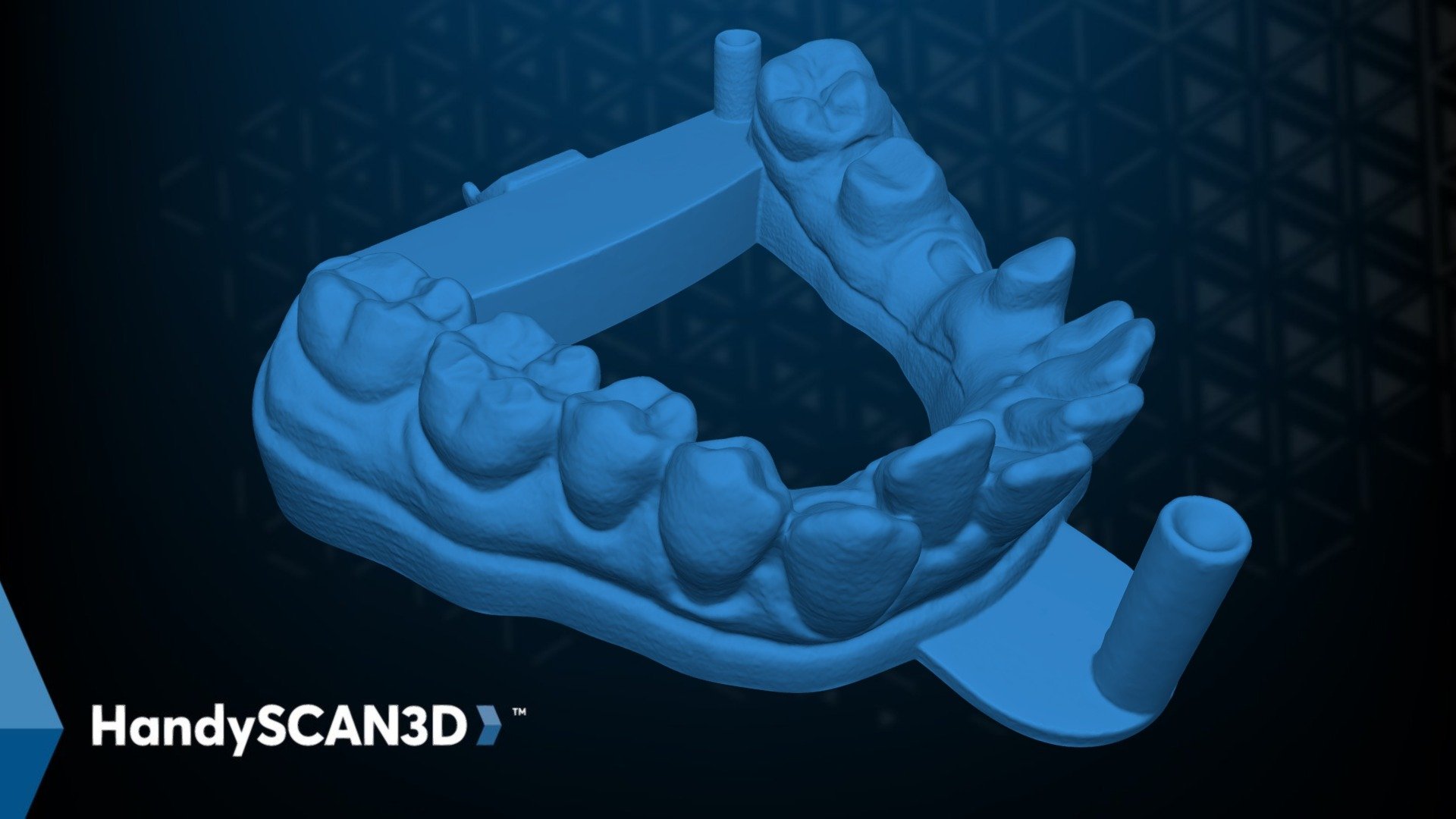 Plastic 3D printed denture scan - 3D model by Creaform 3D (@creaform ...
