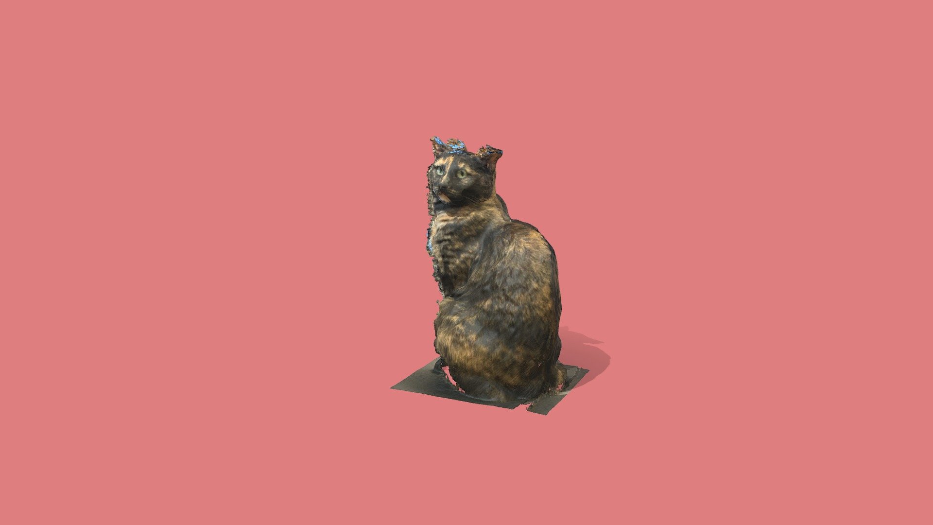 Cat sitting upright - Download Free 3D model by elaughli [3ffbfca ...
