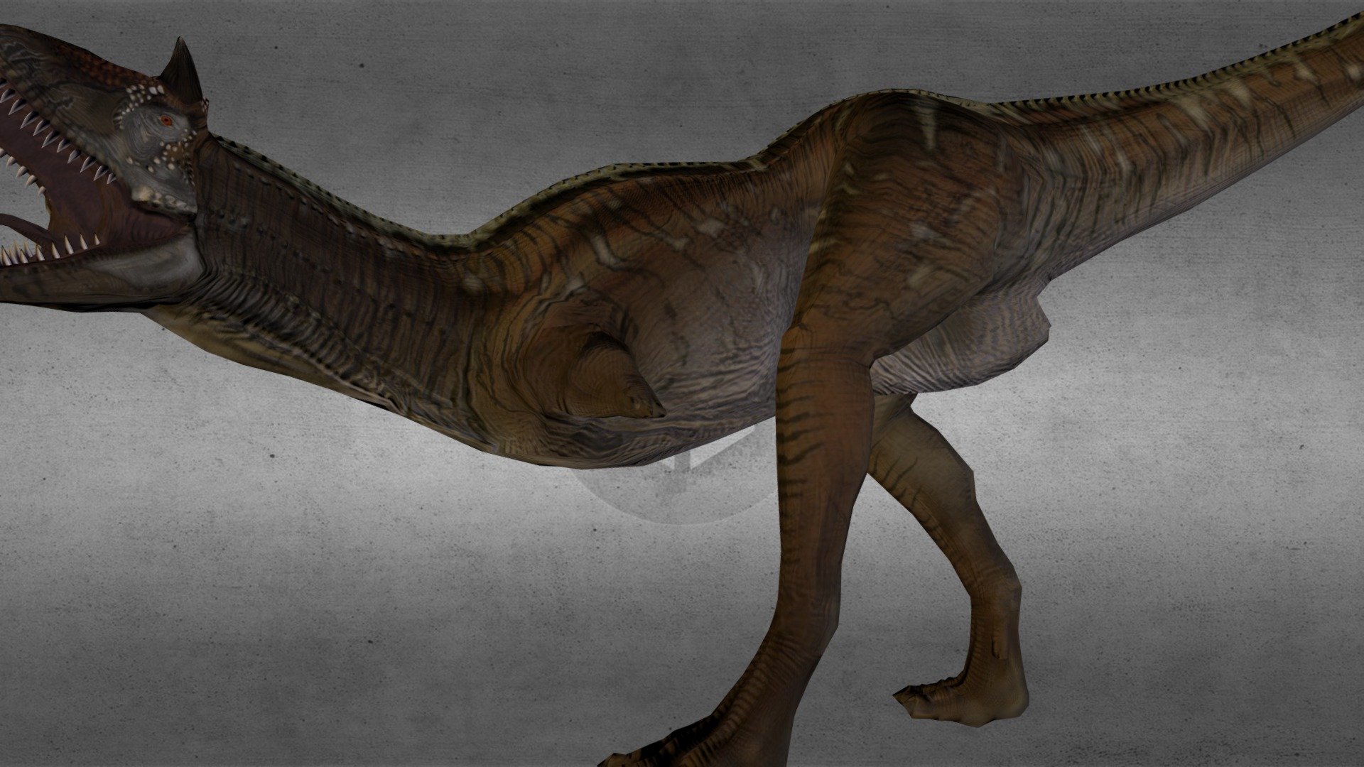 Carnotaurus sastrei - 3D model by KaraNetterville [3qequIz] - Sketchfab