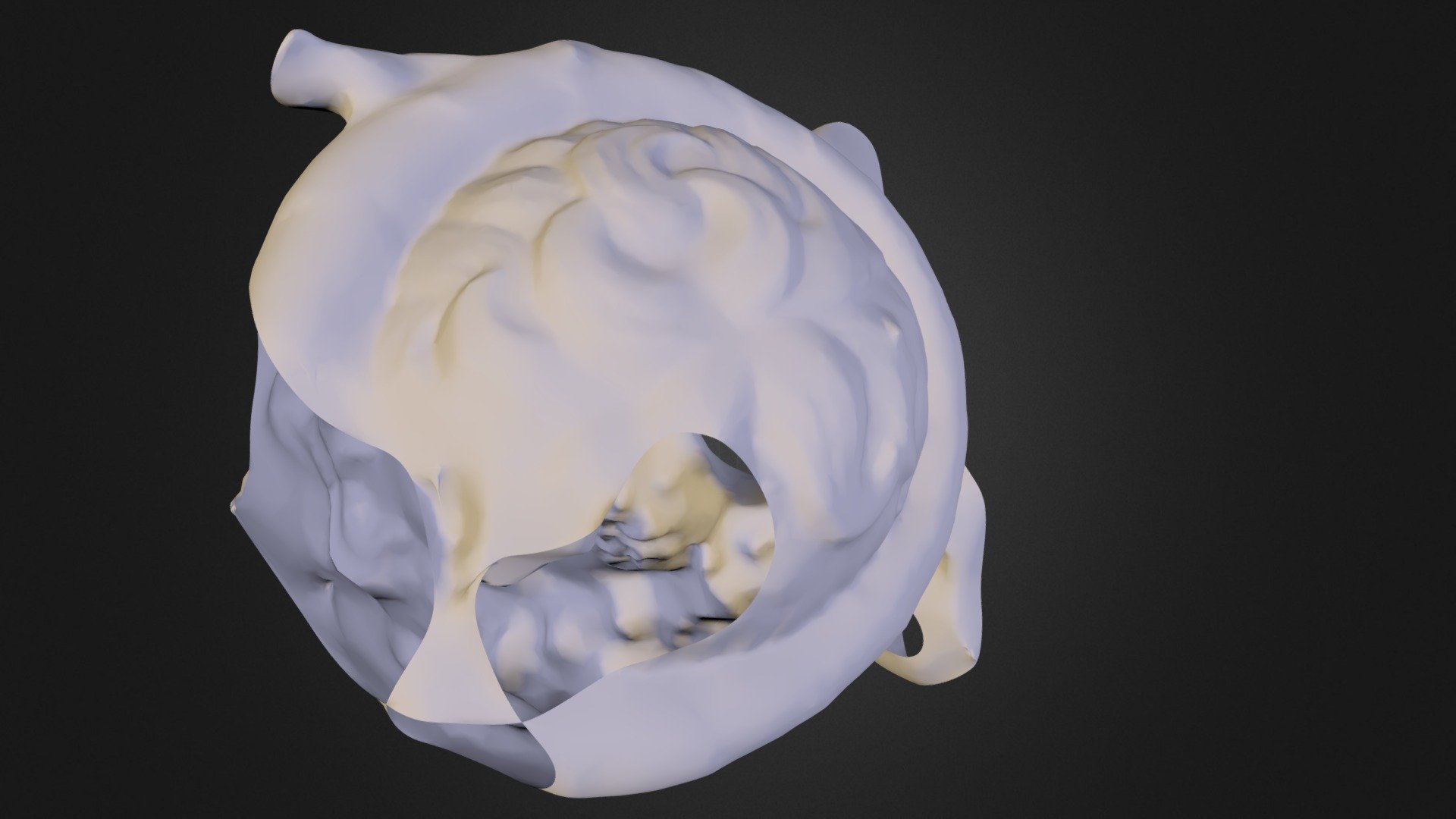 mesh.obj - 3D model by DunjaRadovic [3yQ57qU] - Sketchfab