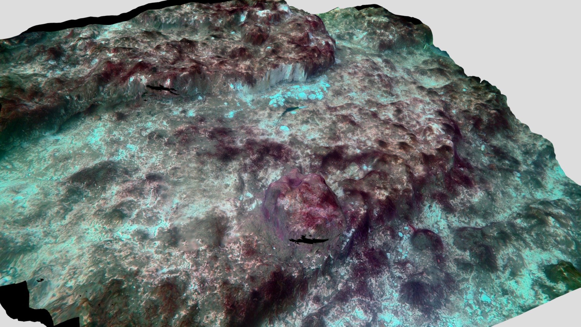 Seasearch trial 1 - Chalk reef (Norfolk, UK) - 3D model by Jon ...