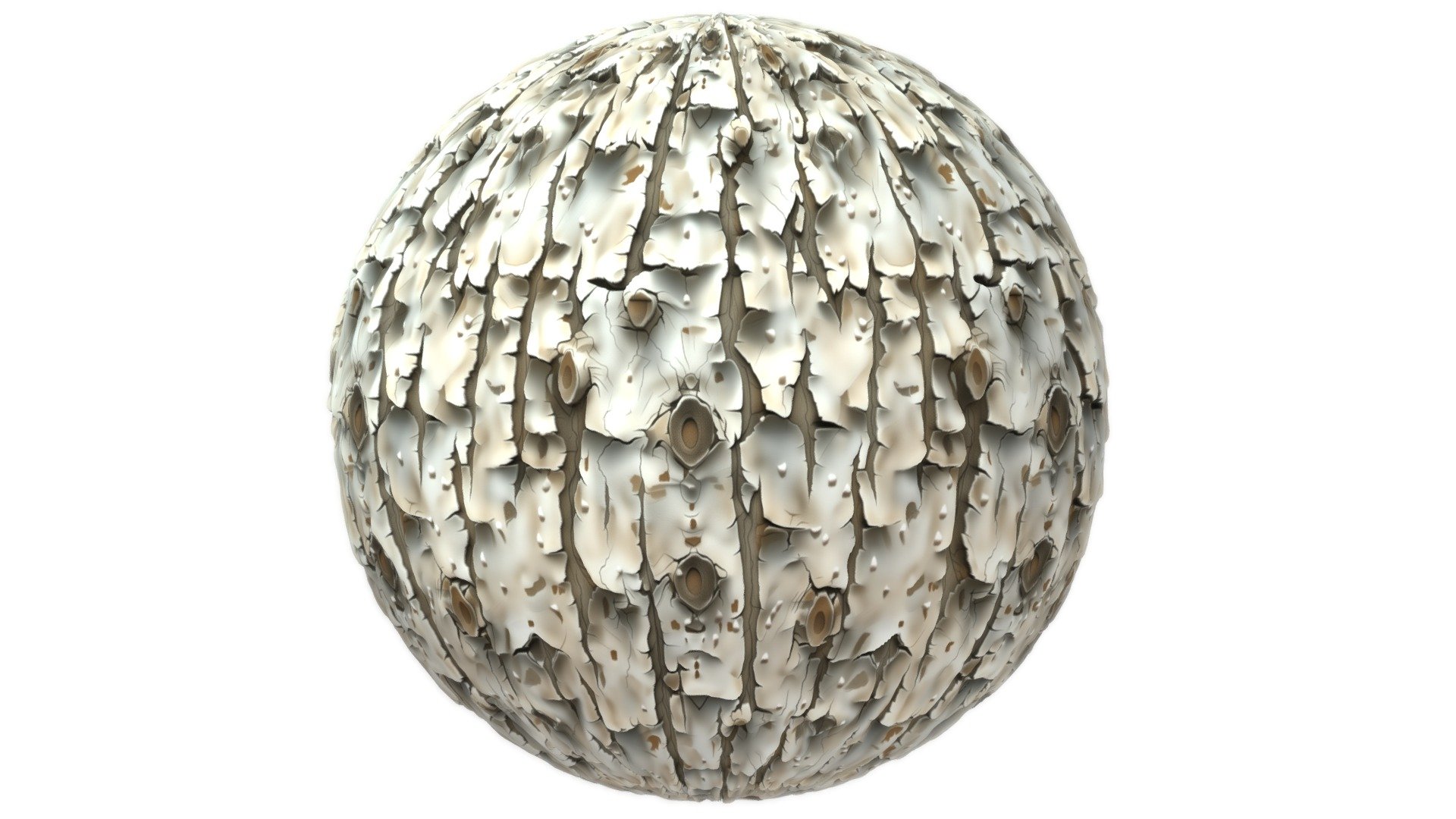 Stylized Bark Seamless Texture - Buy Royalty Free 3D model by zames1992 [400b26c] - Sketchfab Store