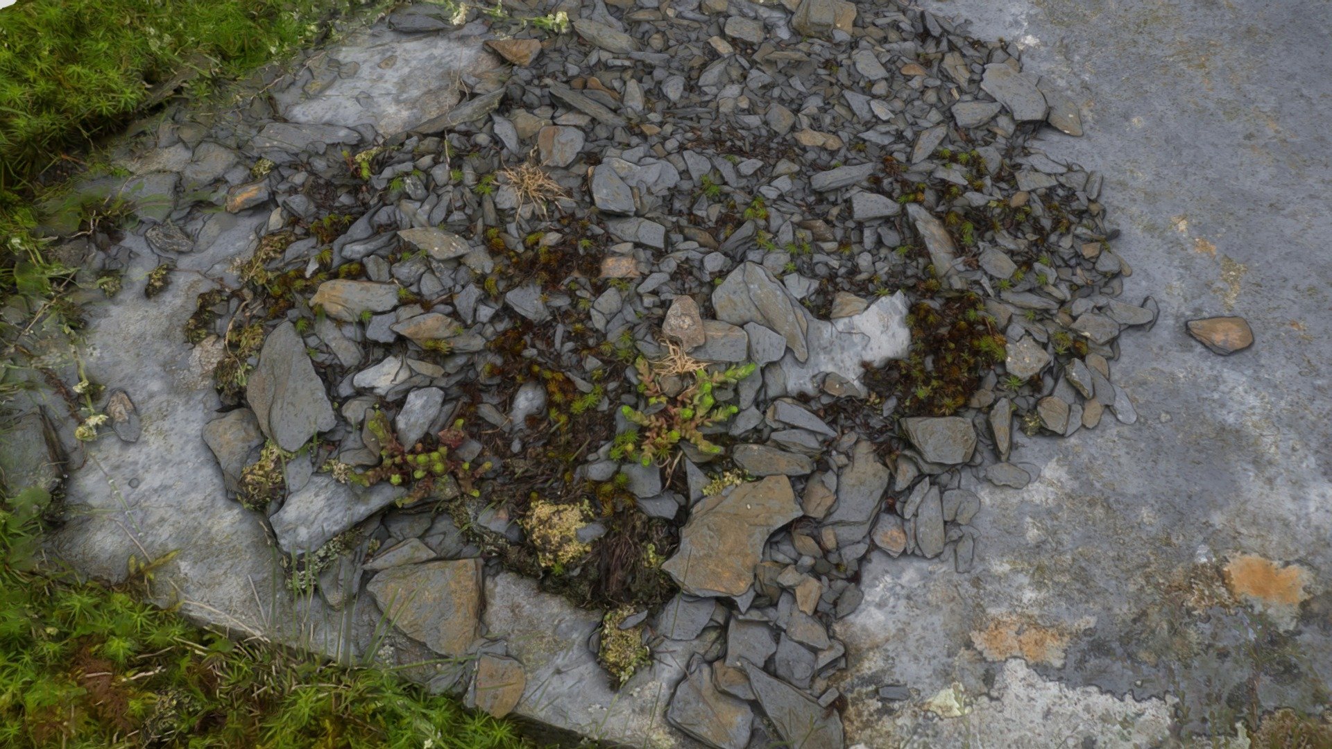 Quarry Small Slate Pile Scan - Download Free 3D model by CommonSpence ...
