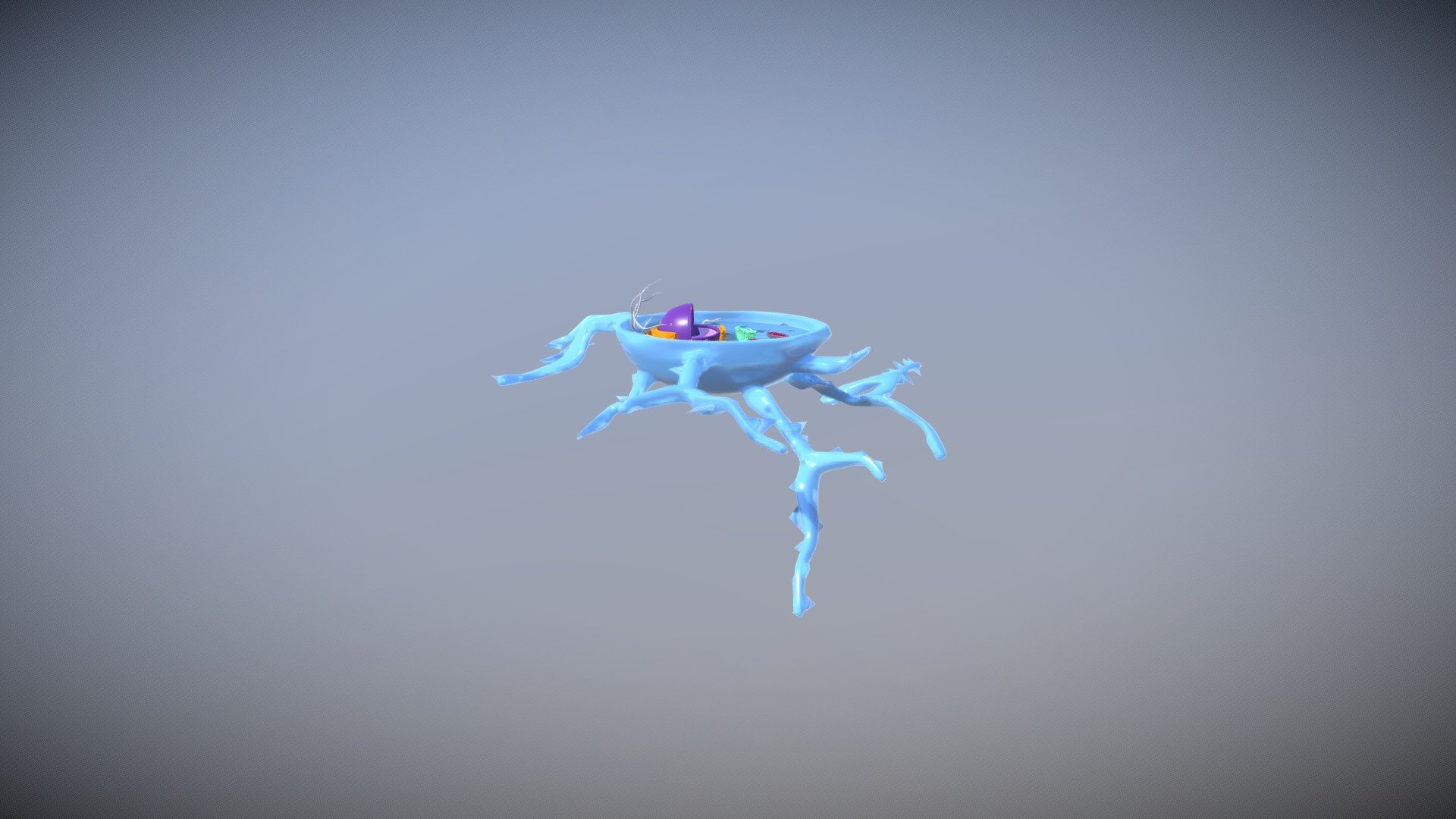 Podocyte - 3D model by anamocatcat [4014354] - Sketchfab