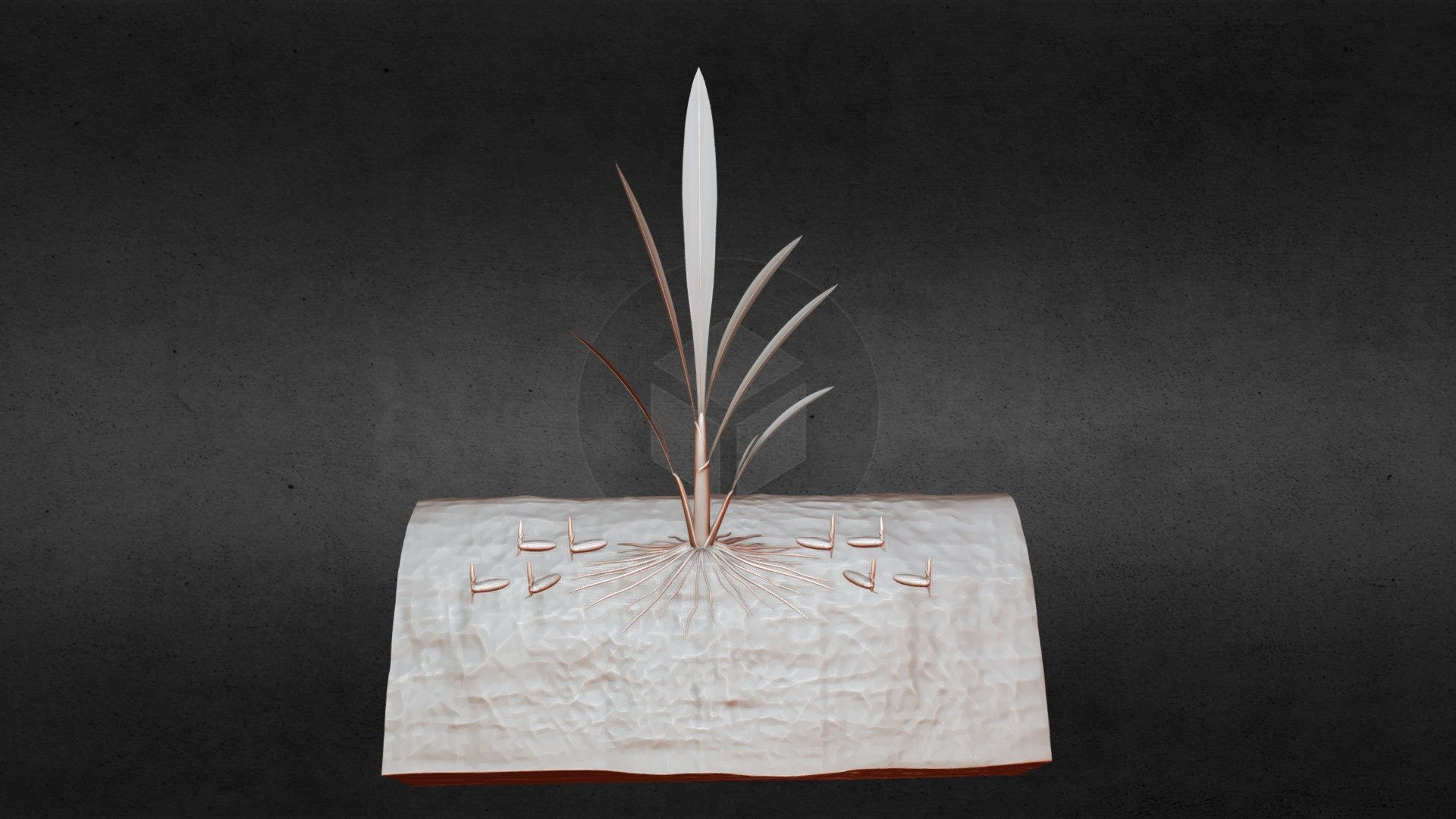 Cây lúa - 3D rice plant, paddy tree - Buy Royalty Free 3D model by ...