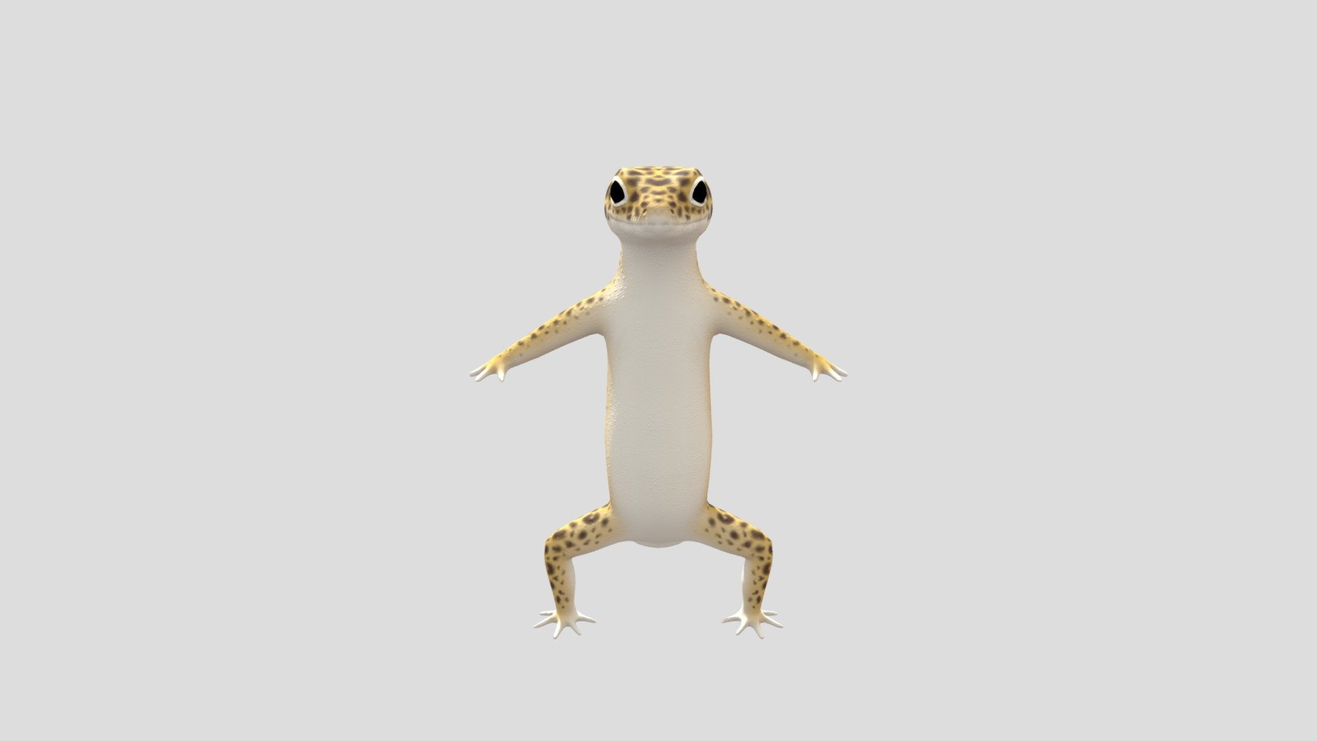 Gecko - 3D model by witchyxr [401be85] - Sketchfab