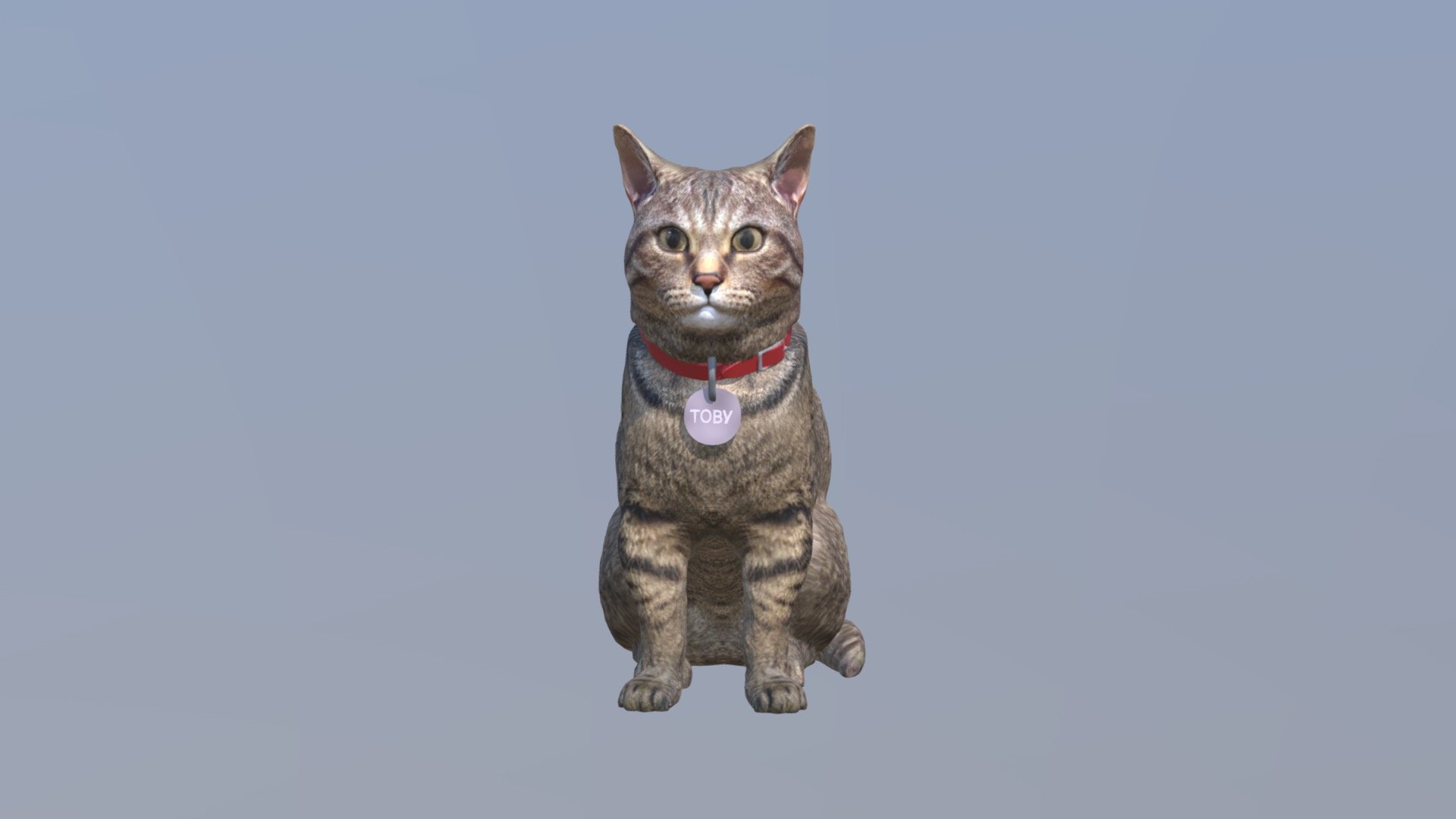 1908001- Toby- Cat - 3D model by Arty Lobster - Pet Sculptures Made ...
