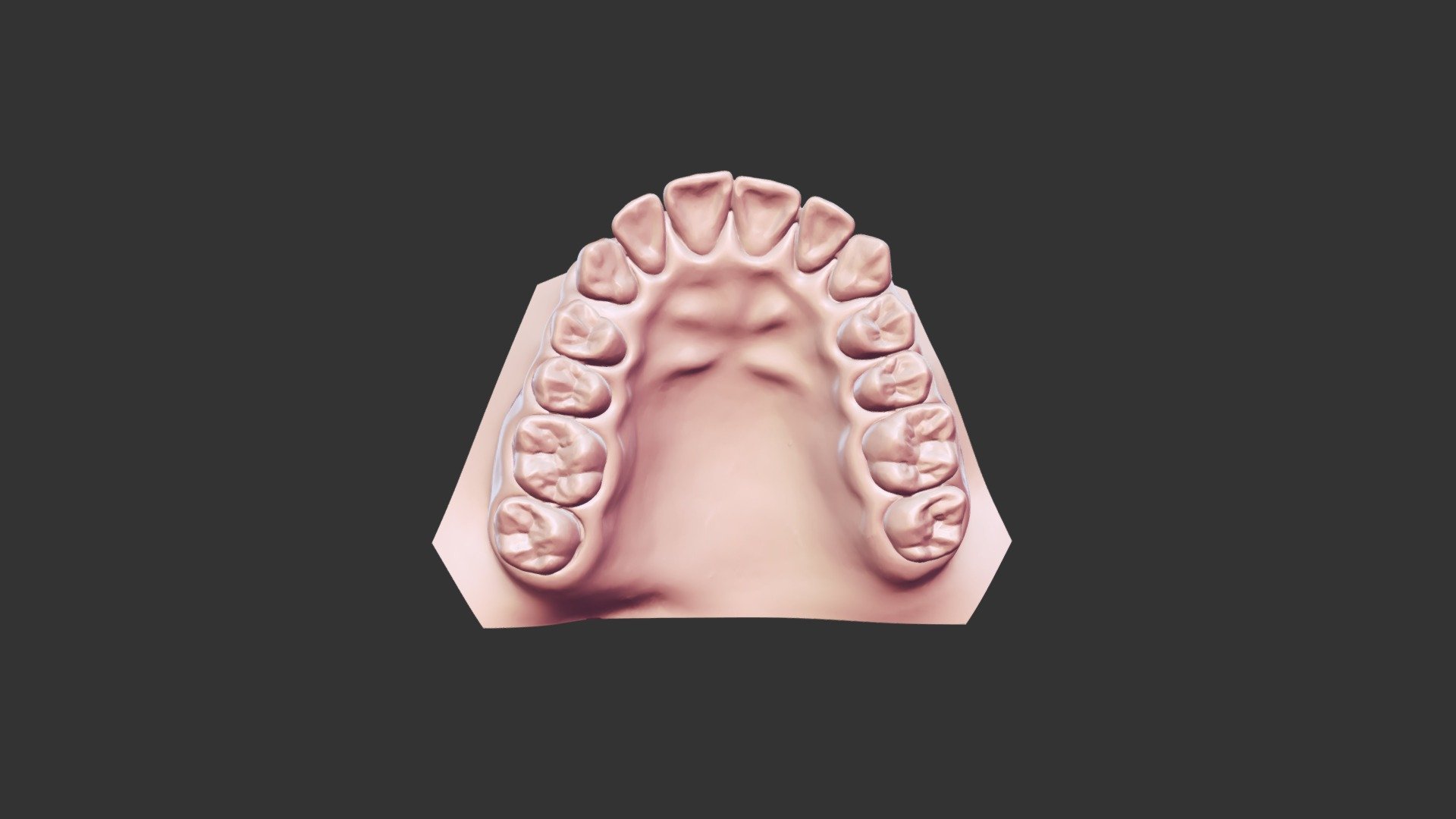 Maxillary Typodont - 3D model by Virtual Dental Library (@bermanh ...