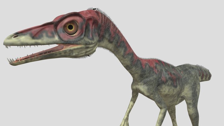 Compsognathus 3D models - Sketchfab