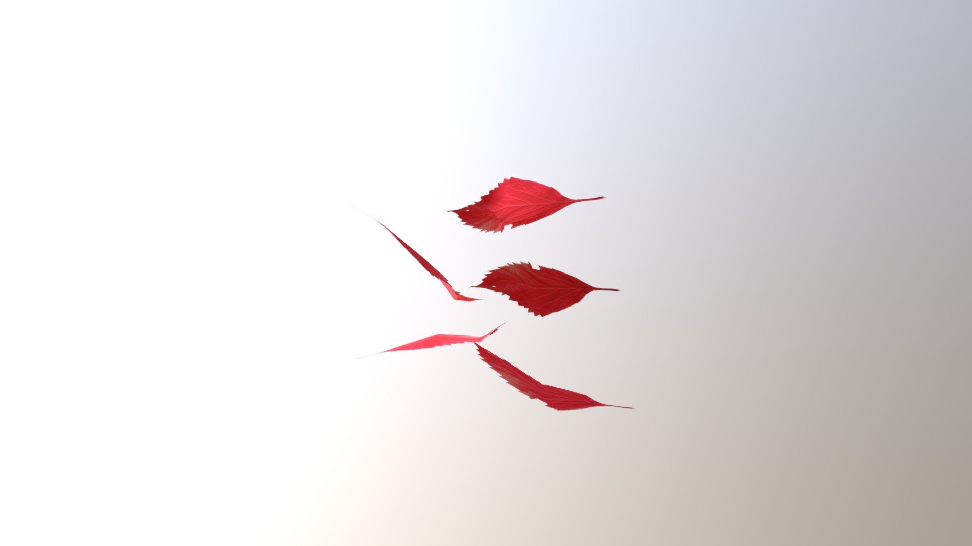 Daun - 3D model by nigelerico1 [403e45f] - Sketchfab