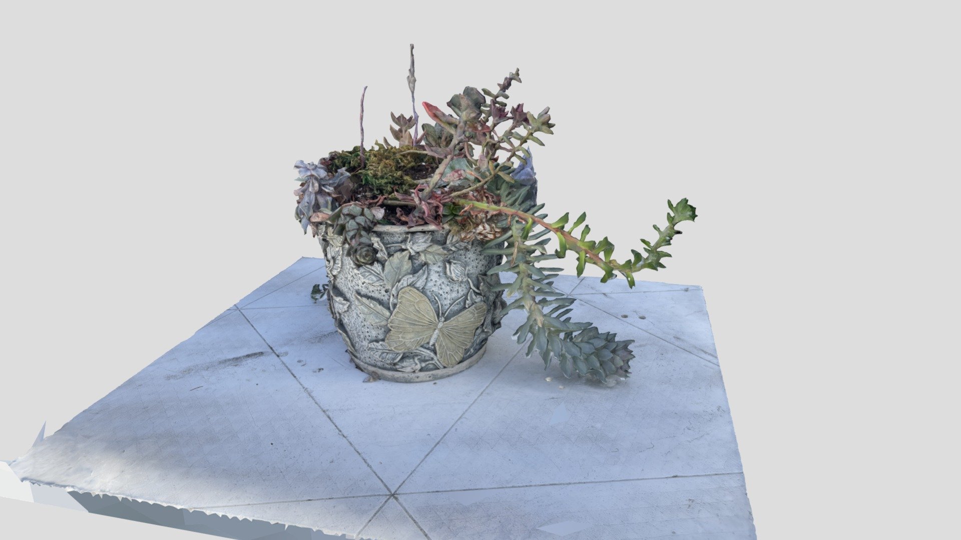 Succulent Potted Plant - Download Free 3D model by Tyler Stannard ...
