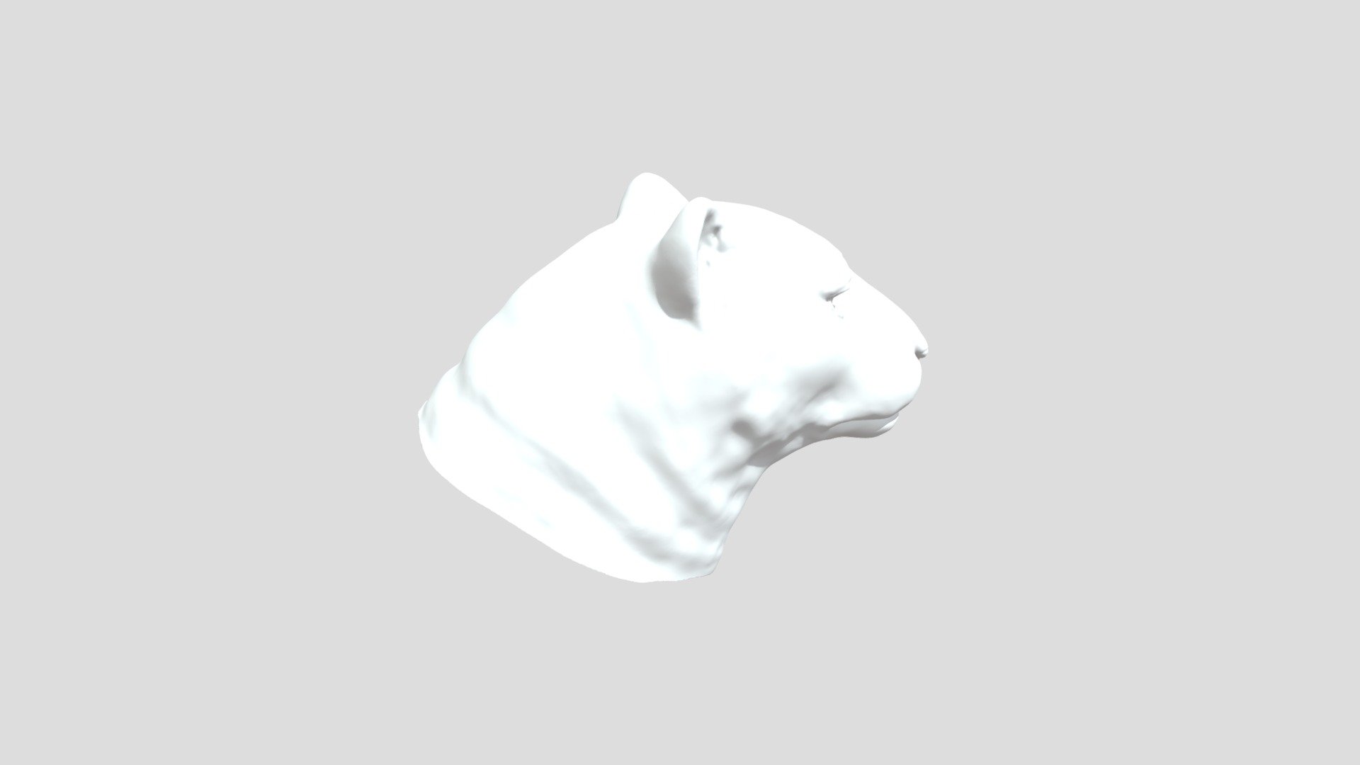 2023.04.19 - Leopard Head Low - 3D model by vetiqo [404f69a] - Sketchfab