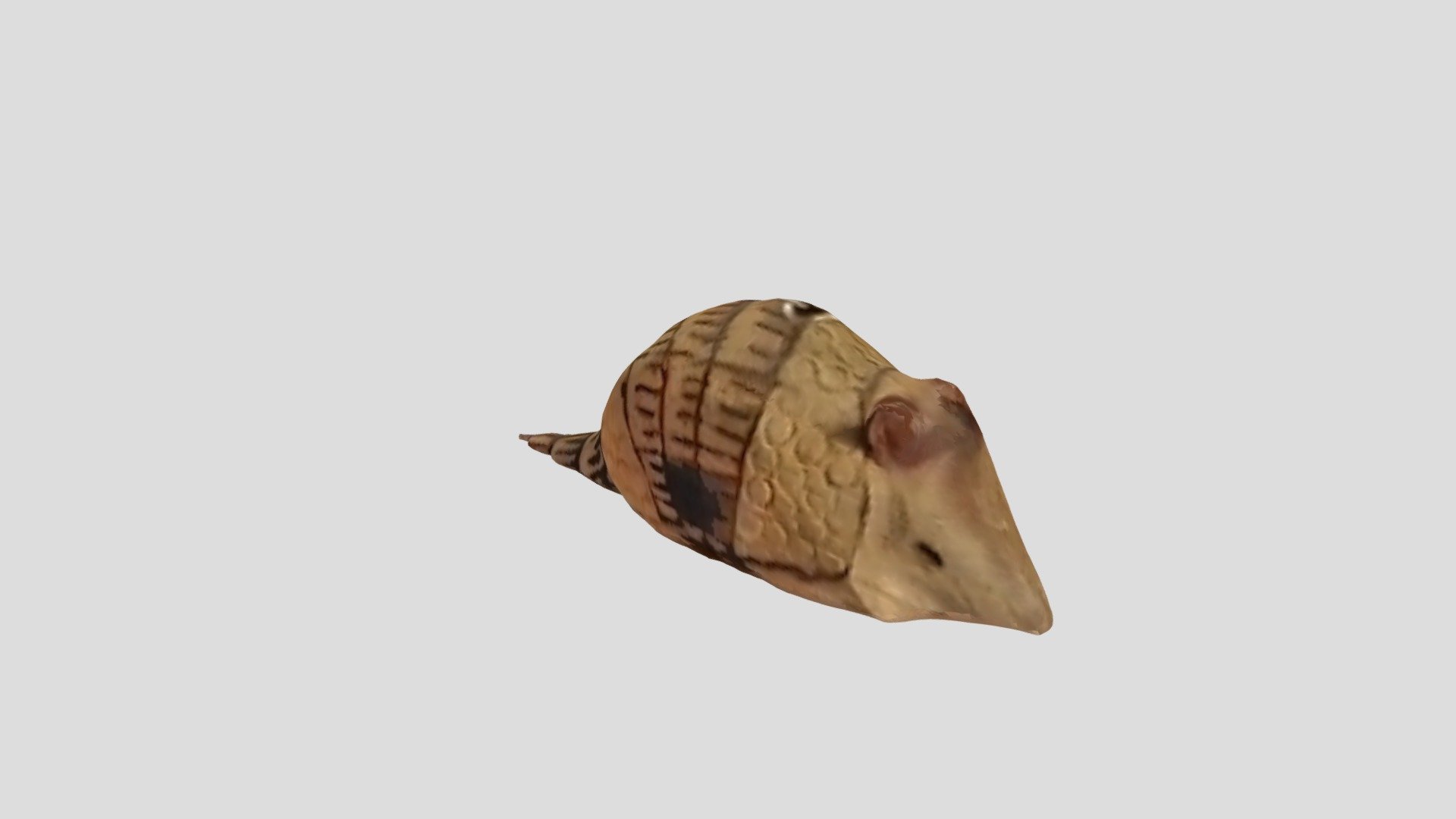 Armadillo - 3D model by anyipao [4053d92] - Sketchfab
