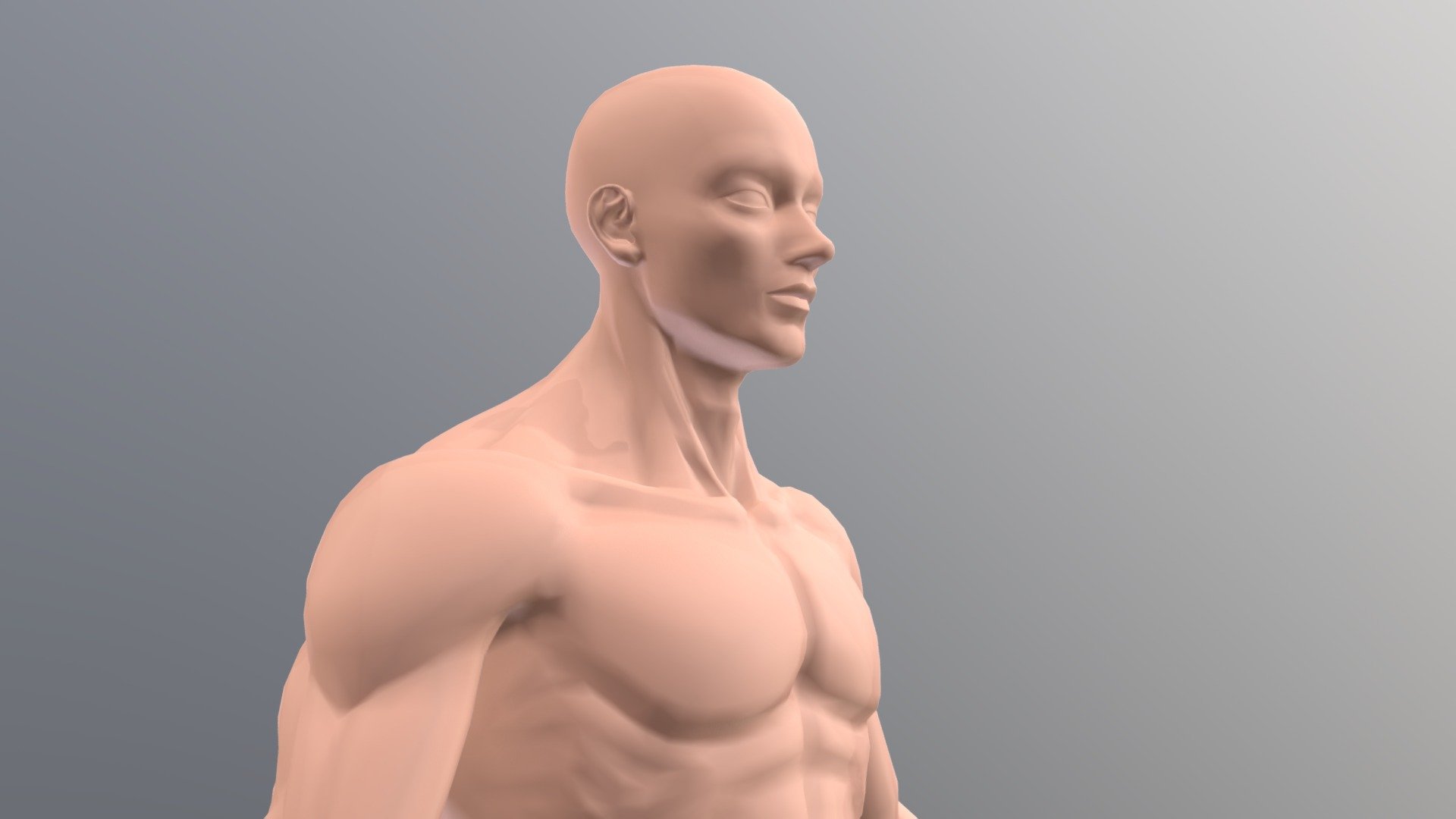 Male human body - 3D model by NA-online [40549b6] - Sketchfab