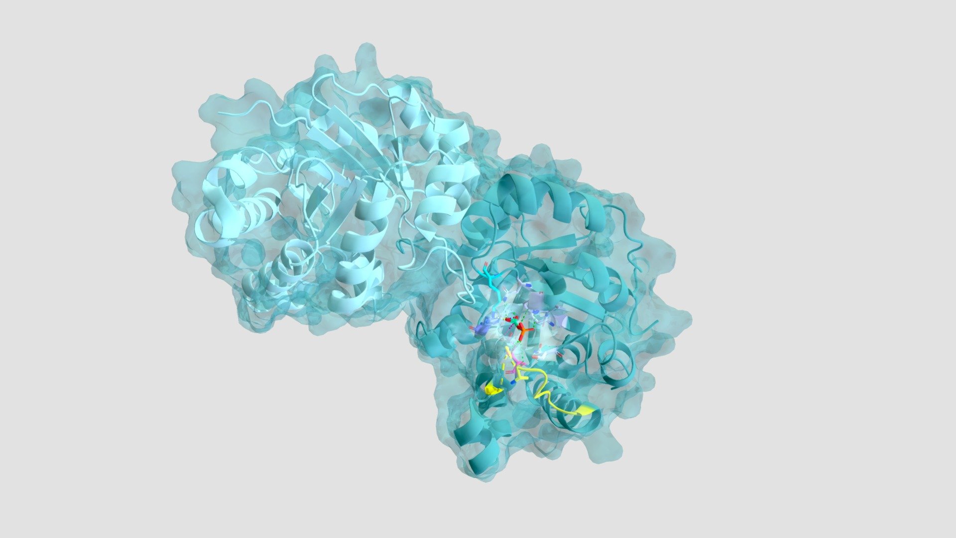 Triosephosphate Isomerase and PGA - 3D model by charlizedp [40585dc ...