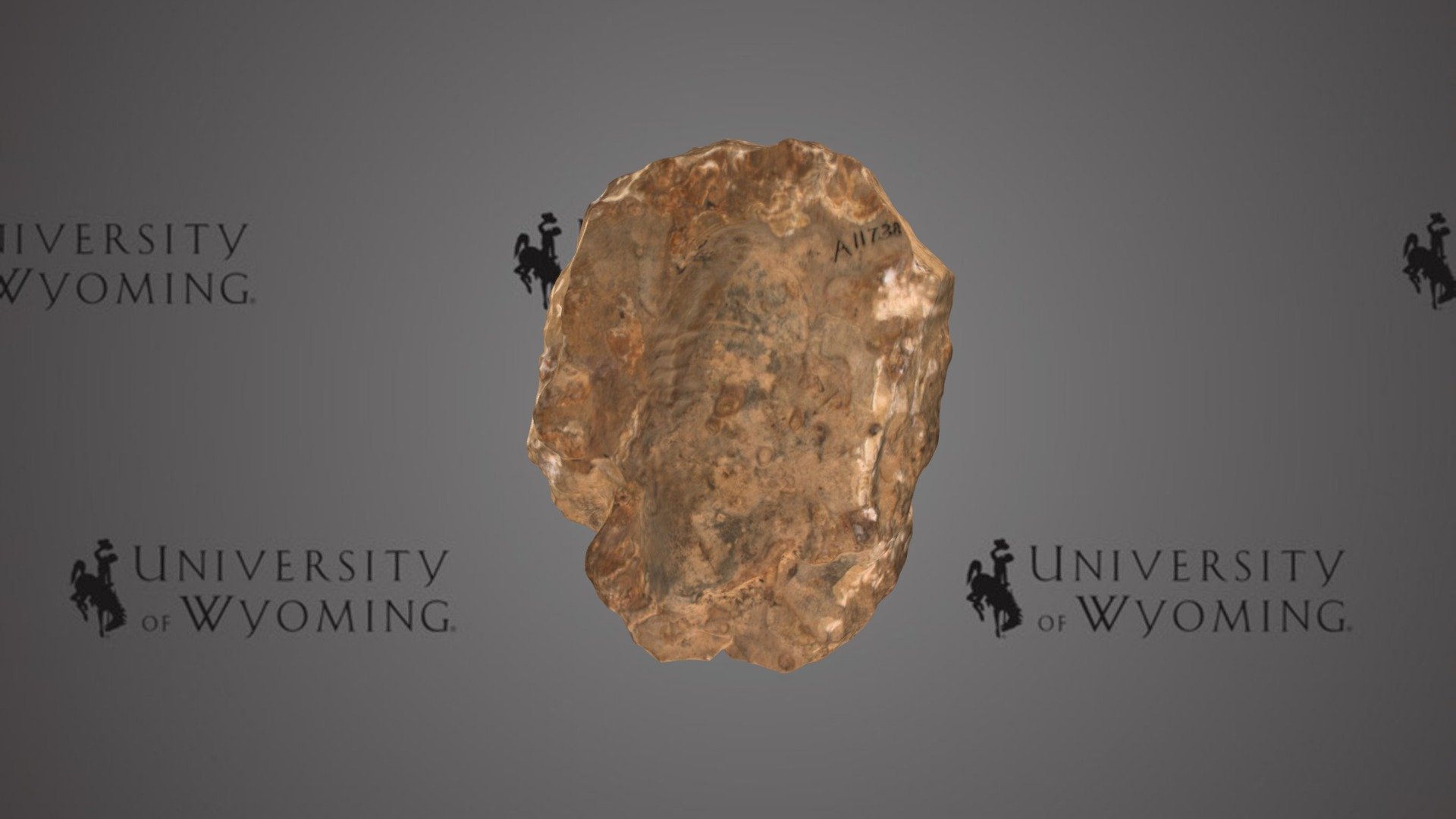 UW A11738 A - Download Free 3D model by University of Wyoming Libraries ...