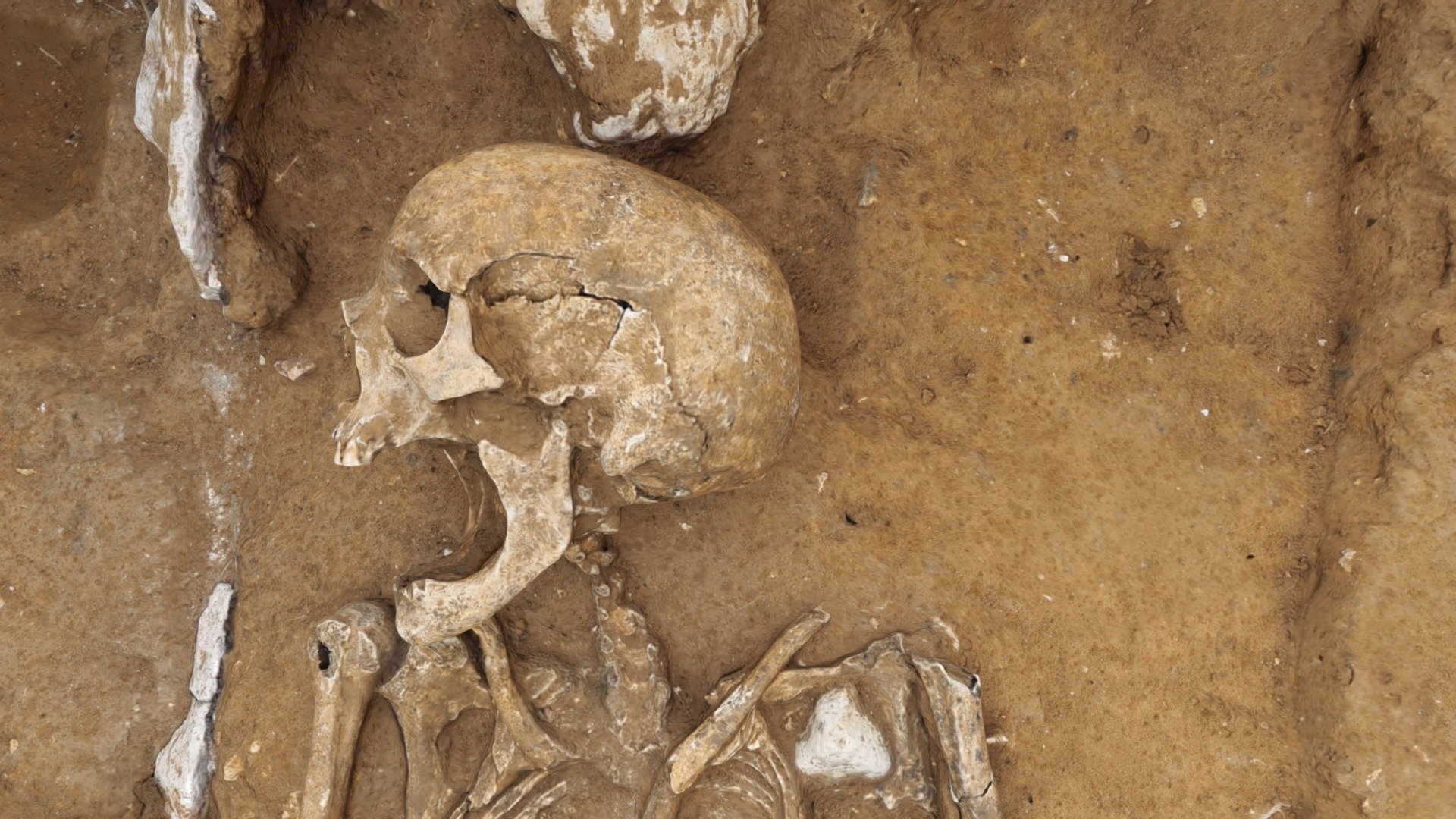 M165_928 - 3D model by Archéologie des nécropoles (@ArcheoNec) [4076667 ...