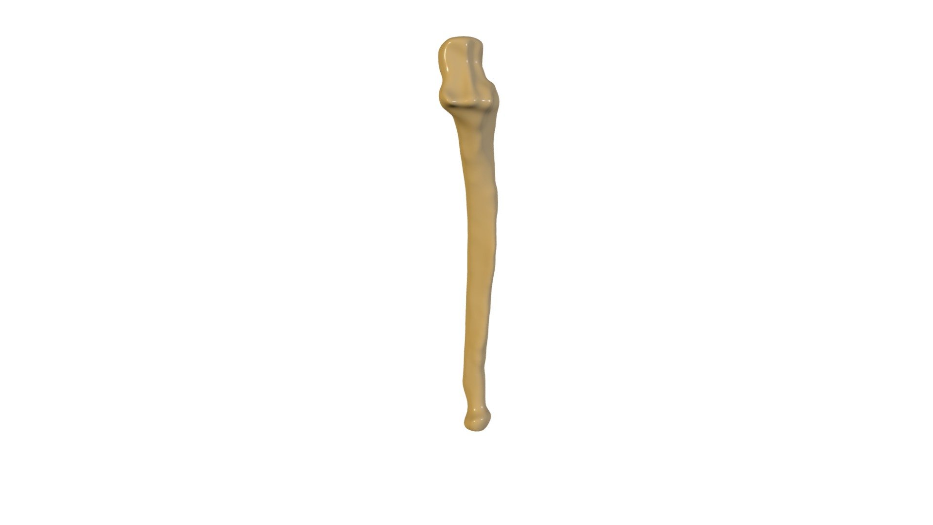 Cúbito - 3D model by LIMA.UNLP [407b6db] - Sketchfab
