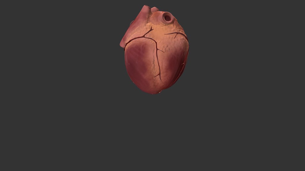 Heart conditions - A 3D model collection by University of Dundee, CAHID ...