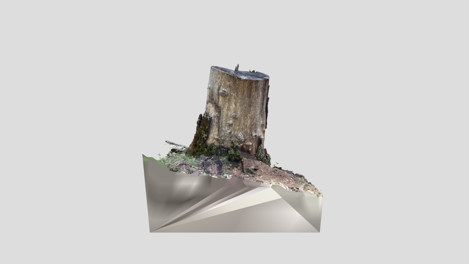 Forest Tree Stump - Download Free 3D model by DMGil [408ae09] - Sketchfab