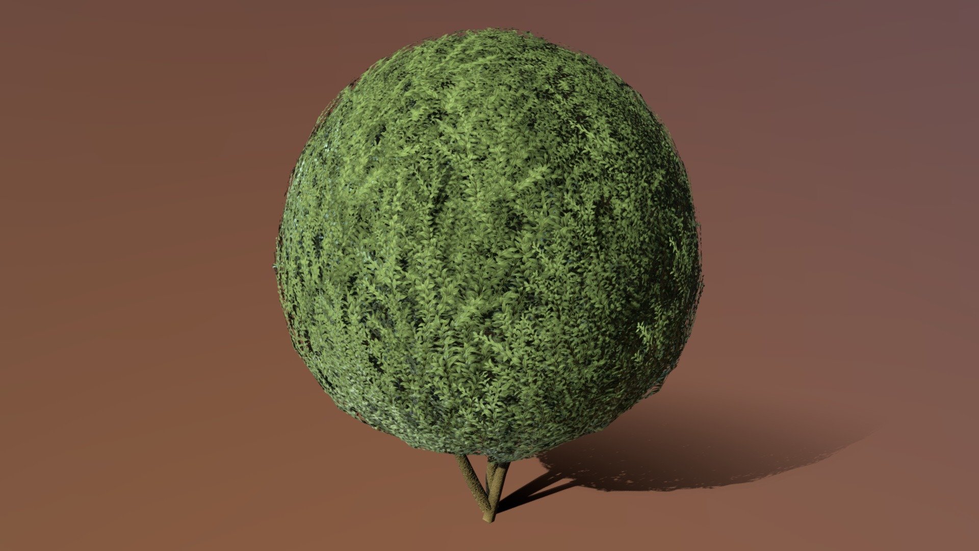 Boxwood Tree Version 6 - Buy Royalty Free 3D model by VIS-All-3D (@VIS ...