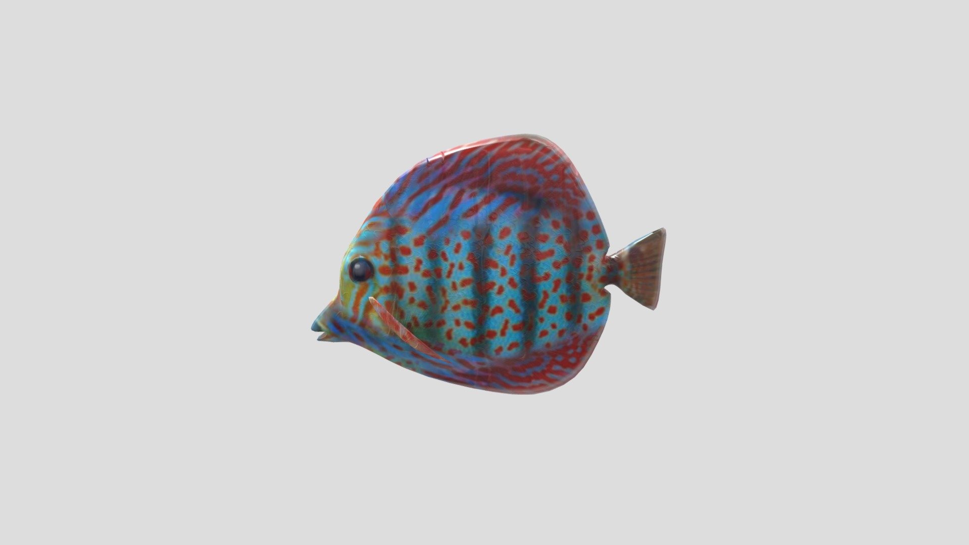 Fish - 3D model by Myatt.Hanna.Wake.Tech [409835f] - Sketchfab