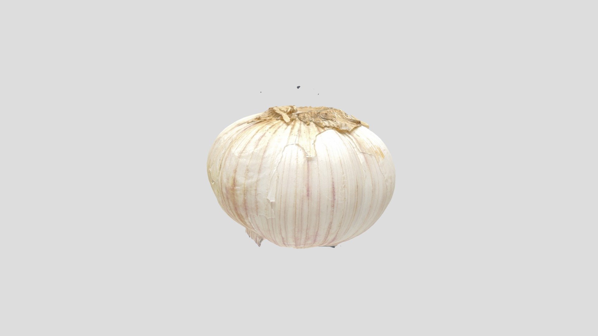 Garlic - Download Free 3D model by saulatepicgames [40a280a] - Sketchfab