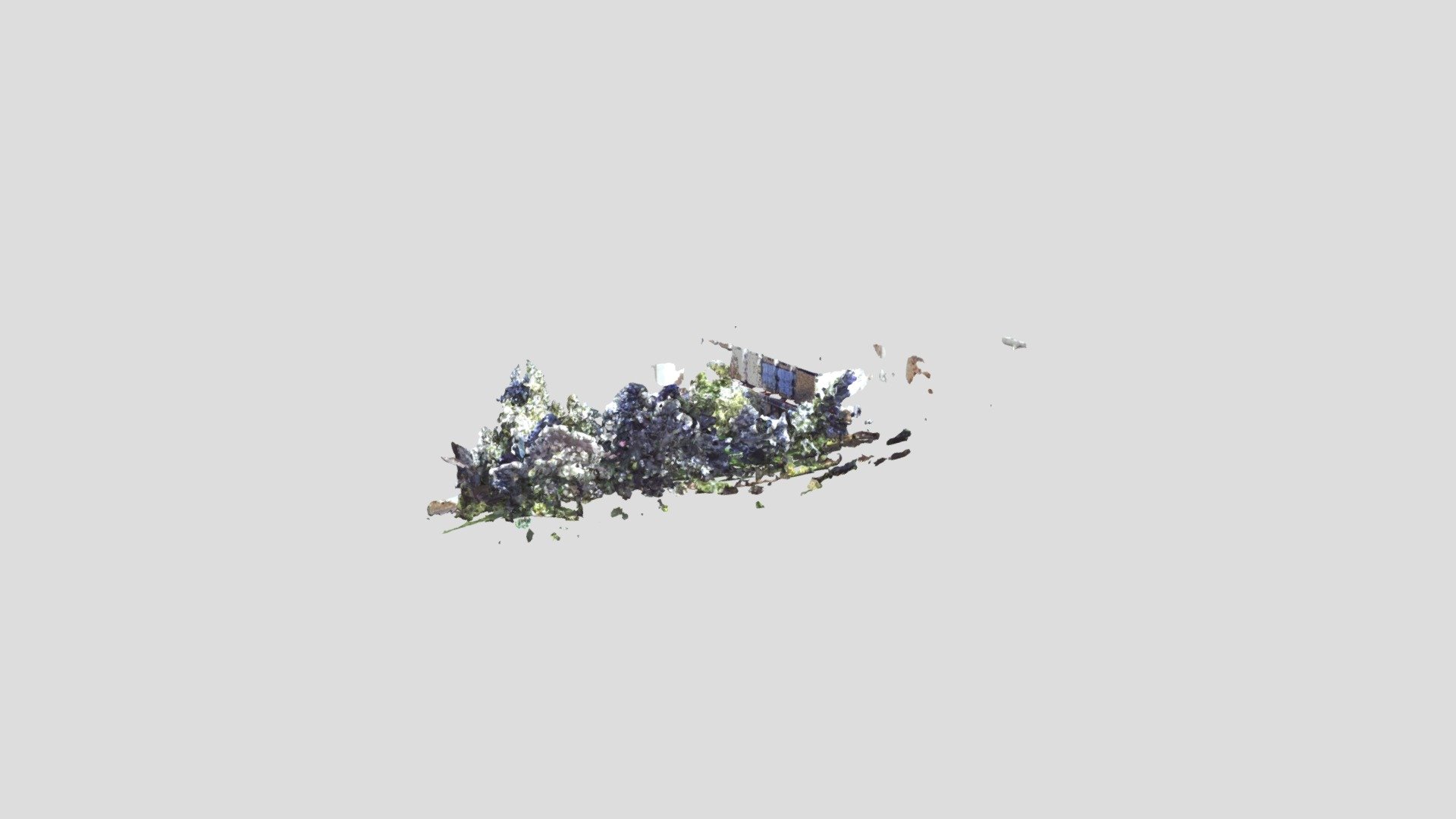 May - 3D model by mpbhardi [40a36ac] - Sketchfab
