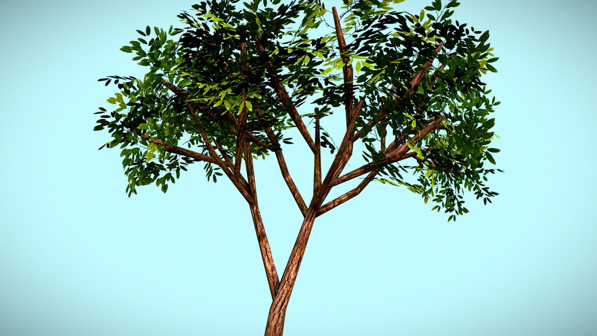 DAE DIORAMA: Tarata Tree - Berkant Nedkov - 3D model by nedkovberkant ...