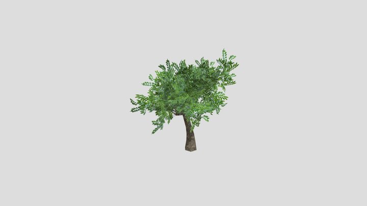 Leaf-tree 3D models - Sketchfab