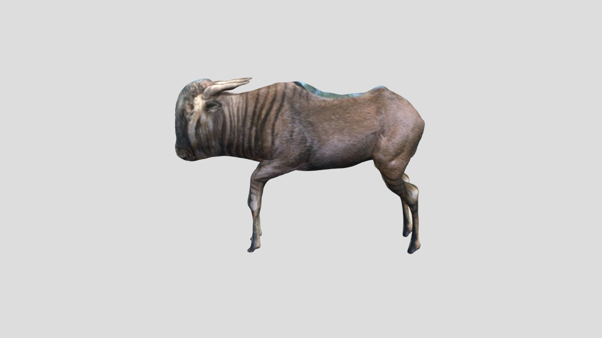 Rusingoryx atopocranion - Download Free 3D model by Zazuyoshi [40ad8e6 ...