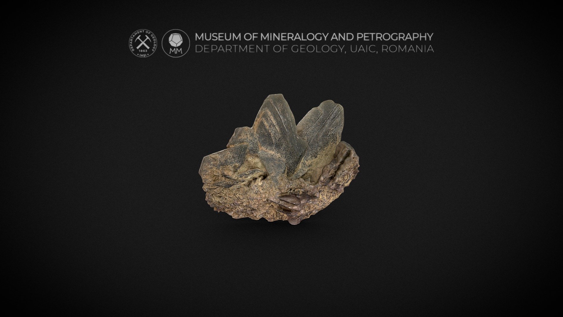 Axinite-(Fe) coated with Chlorite (macro) - 3D model by Museum of ...