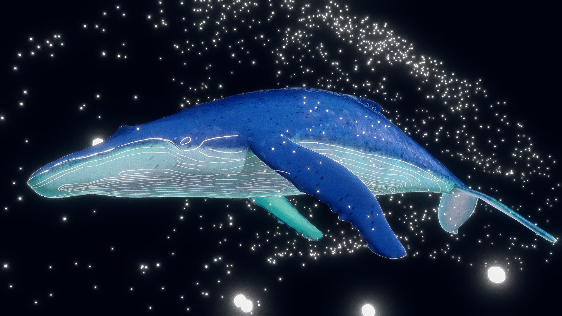 Whale - 3D model by jessica.novita [40bf9e8] - Sketchfab